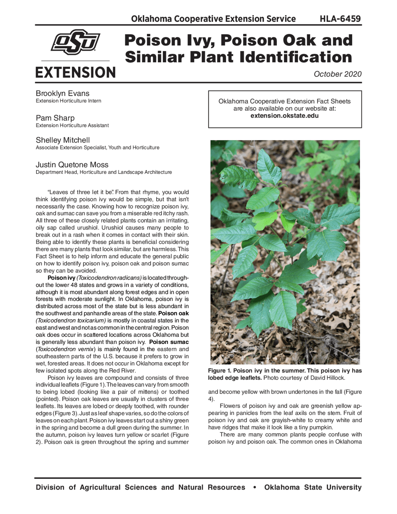 Poison Ivy, Poison Oak and Similar Plant Identification | Exercises ...