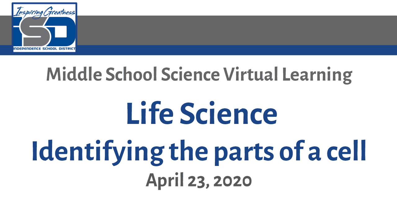 Life Science | Exercises Cell Biology | Docsity