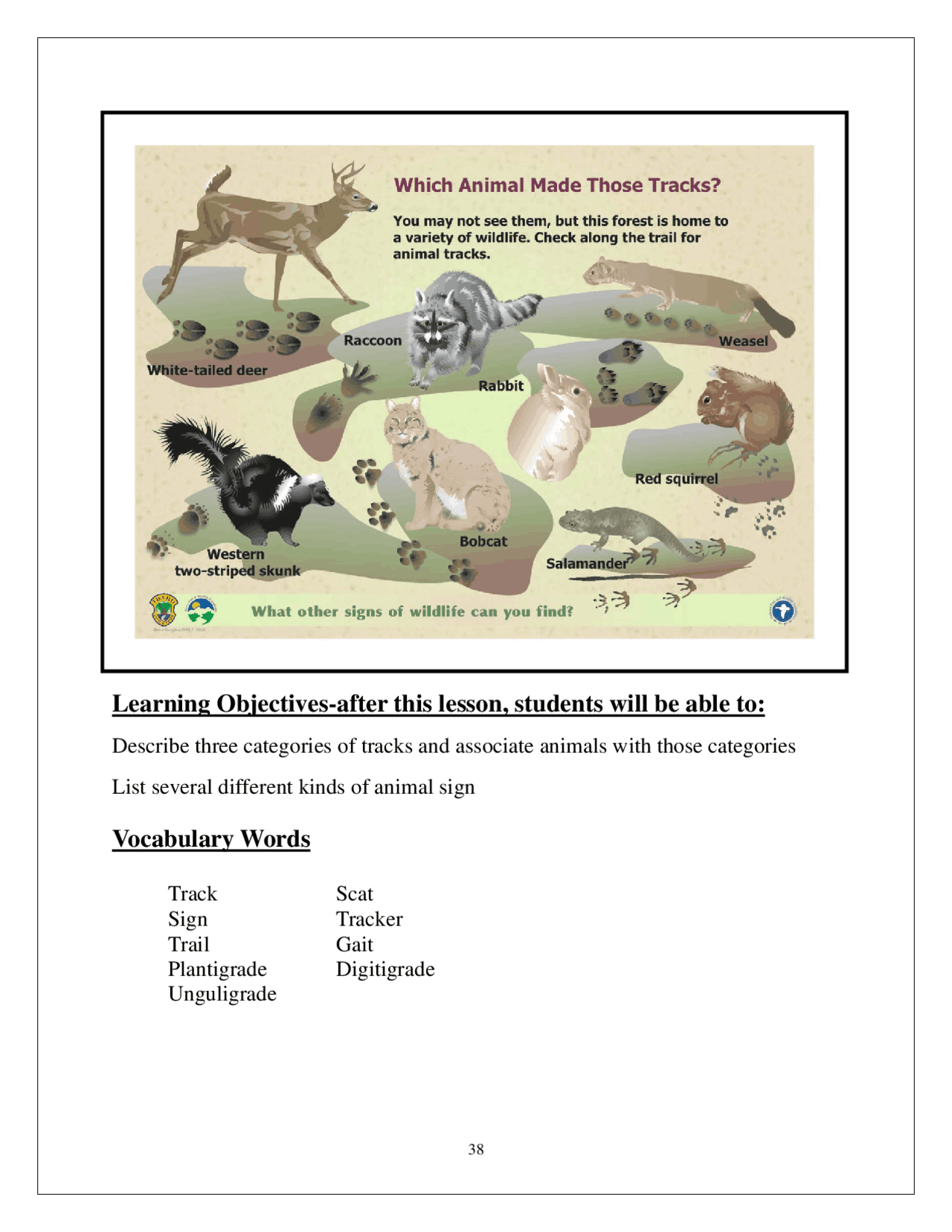 Animal Evidence | Summaries Anatomy | Docsity