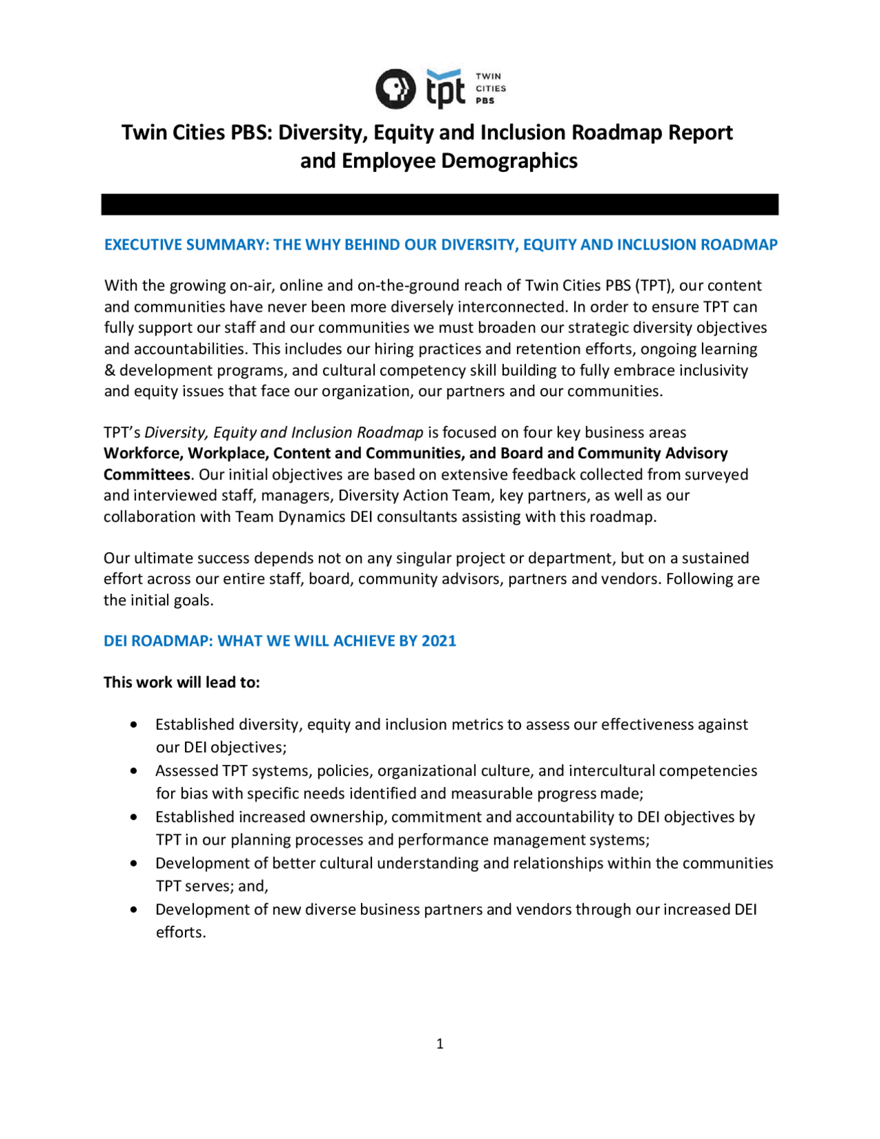 Diversity, Equity and Inclusion Roadmap Report and ... | Summaries ...