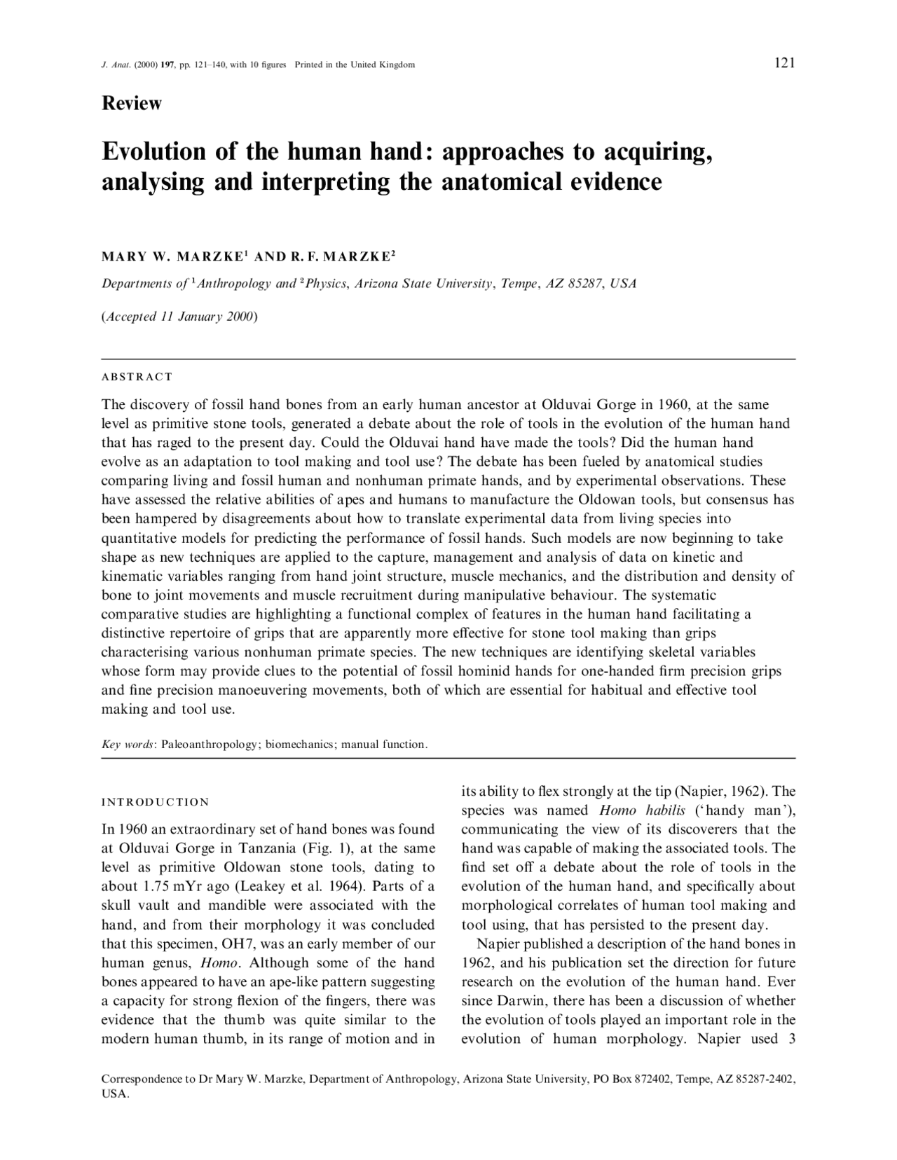 Evolution of the human hand: approaches to acquiring ... | Summaries ...