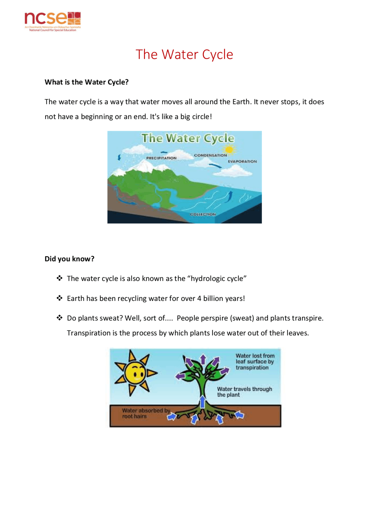 The Water Cycle | Study notes Chemistry | Docsity
