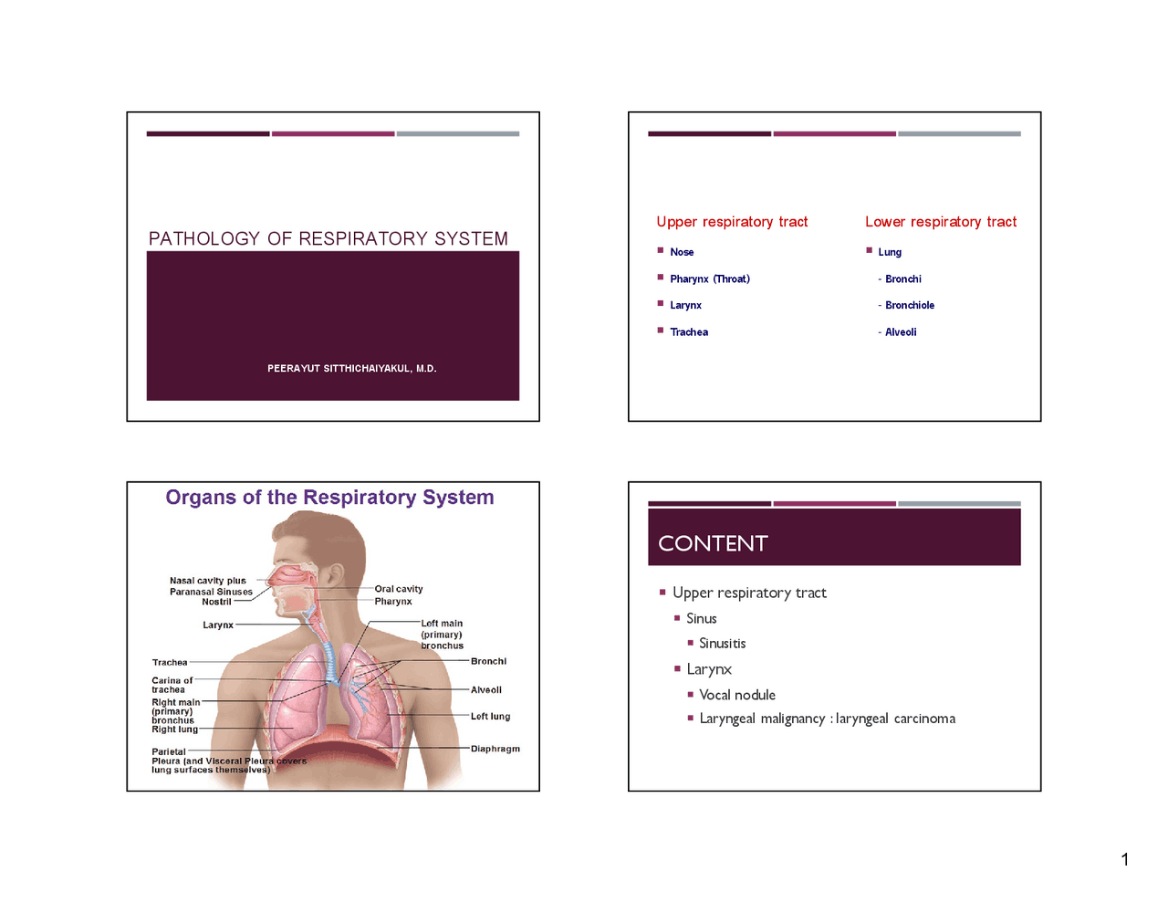 Pathology Of Respiratory System Exercises Pathology Docsity