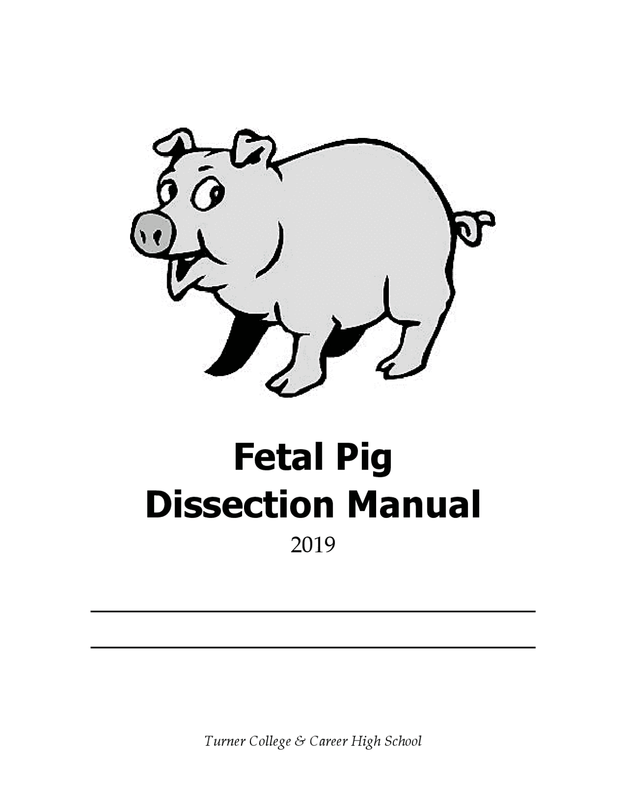 Fetal Pig Dissection Manual Lecture Notes Anatomy Docsity fetal-pig-dissection-manual-lecture-notes-anatomy-docsity