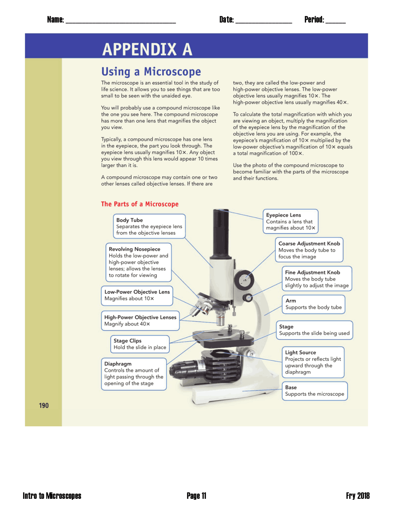 Microscope Use and Expectations | Exercises Biology | Docsity