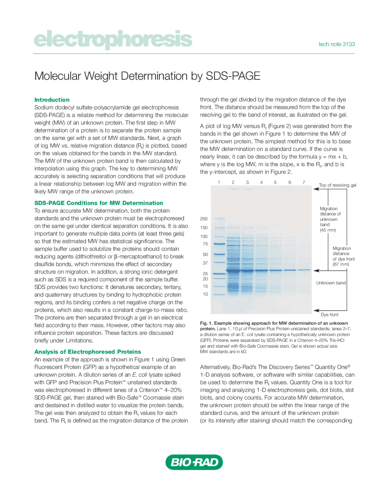 Electrophoresis | Exams Molecular biology | Docsity