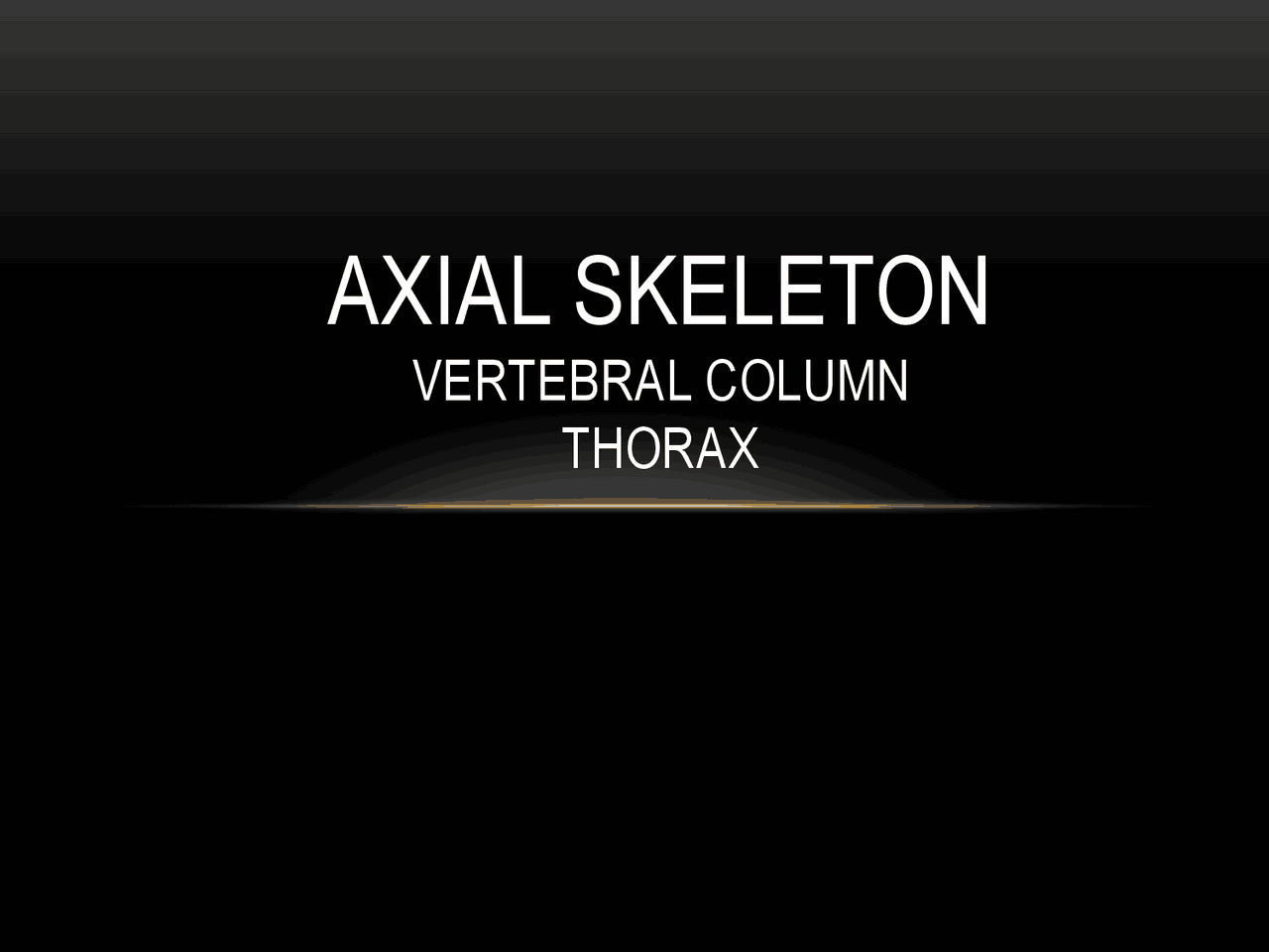 Axial Skeleton Vertebral Column Thorax | Schemes and Mind Maps Anatomy ...