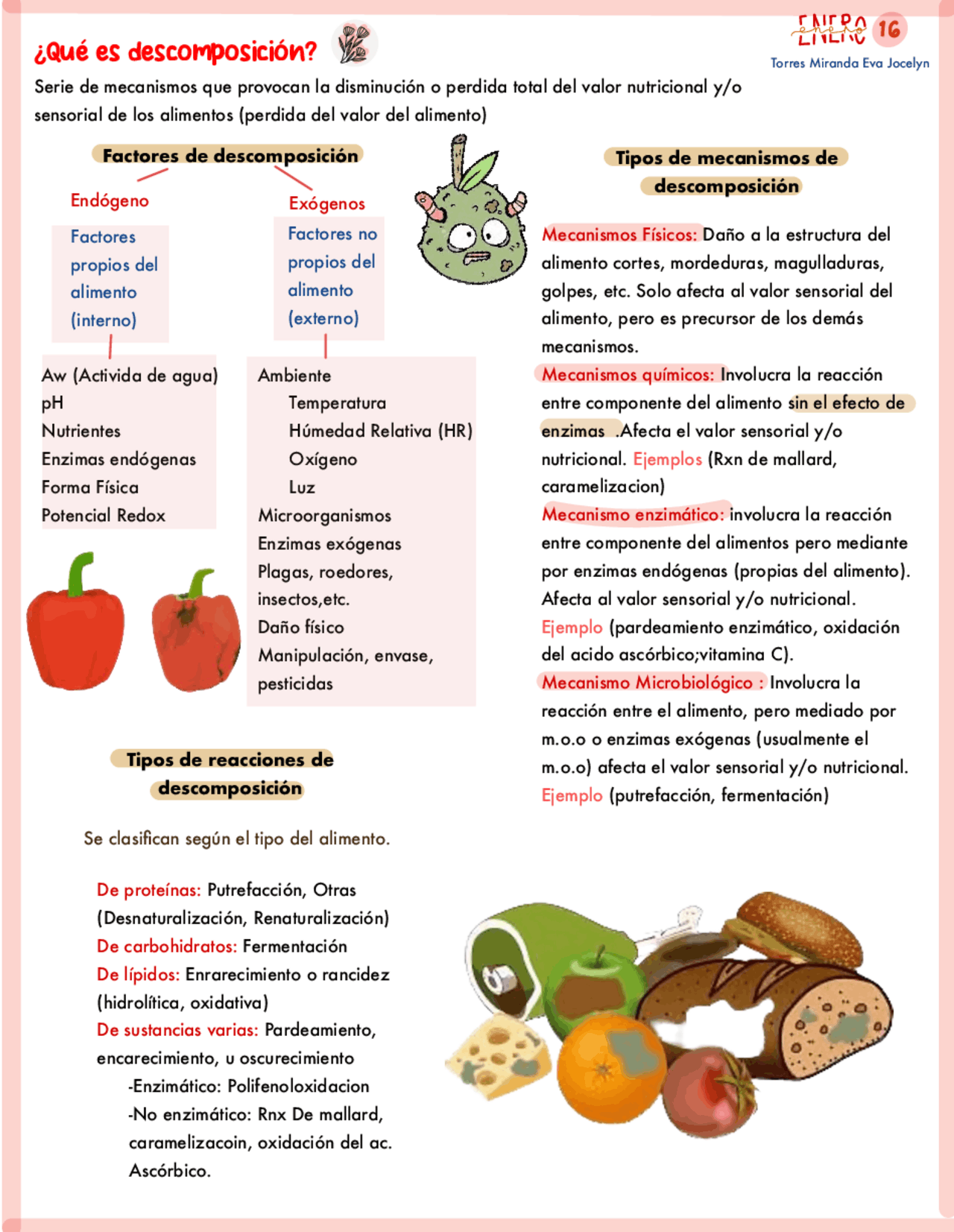 DESCOMPOSICIÓN DE LOS ALIMENTOS | Apuntes de Química de los alimentos ...