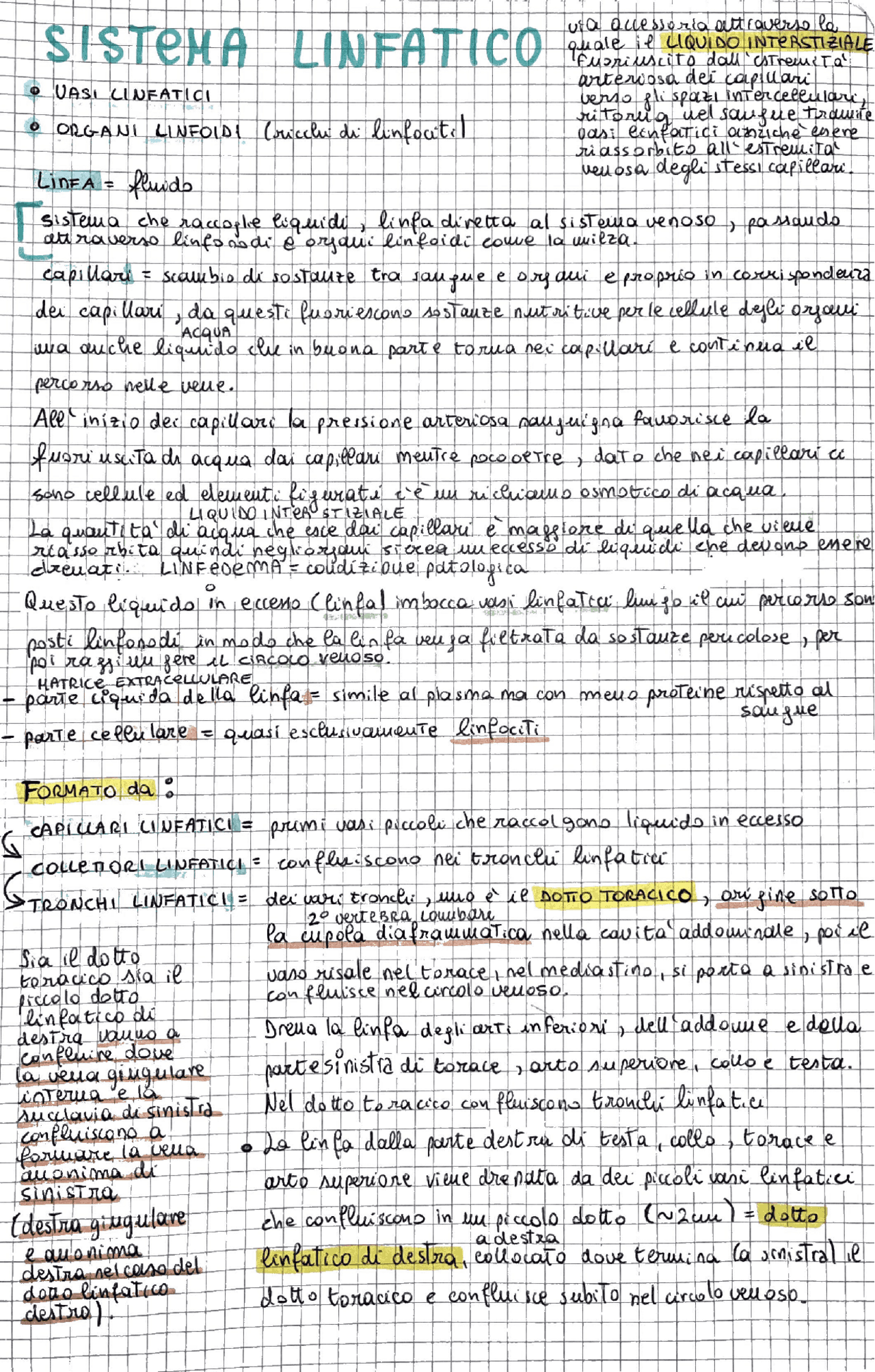 Anatomia Sistema Linfatico Dispense Di Anatomia Docsity