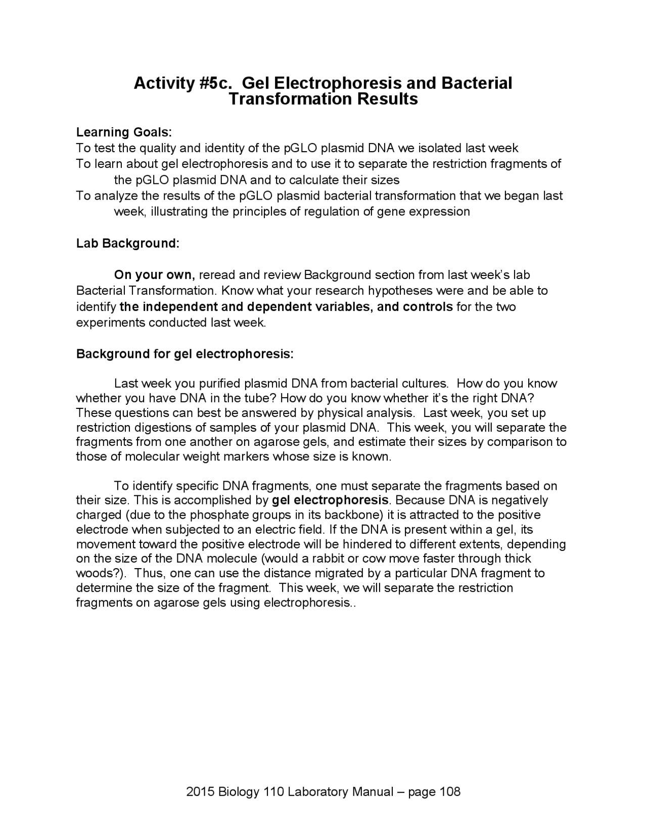 Activity #5c. Gel Electrophoresis and Bacterial Transformation ...