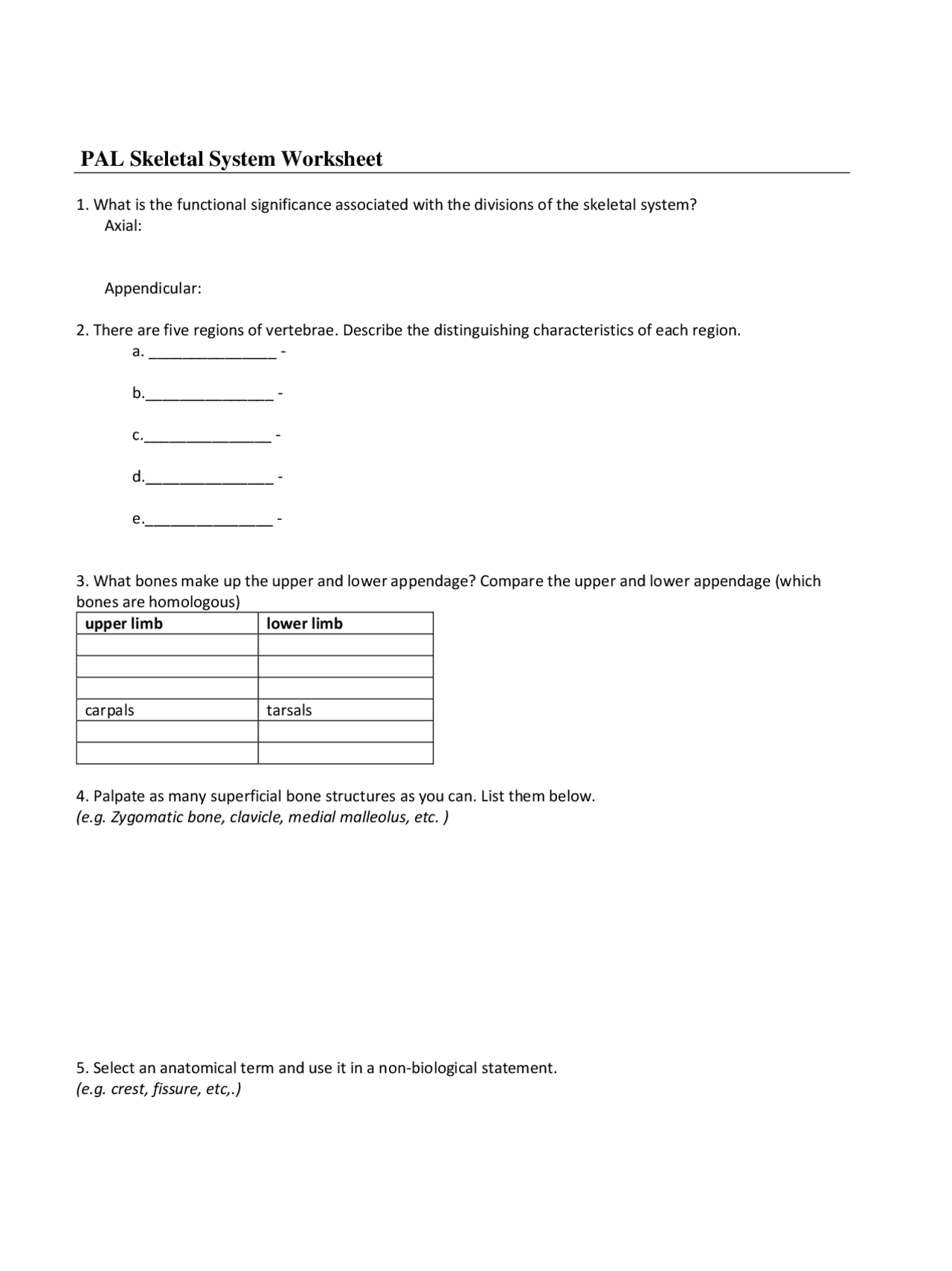 PAL Skeletal System Worksheet | Exams Anatomy | Docsity