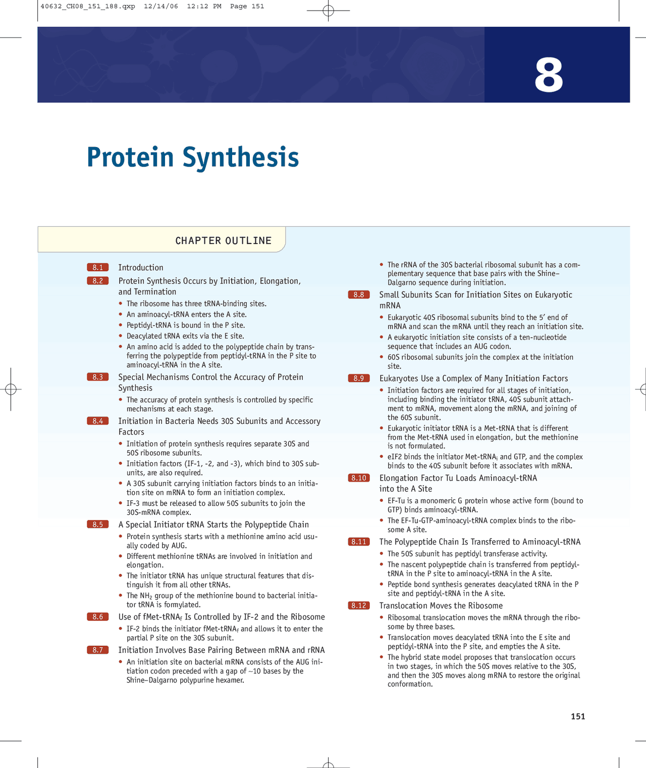 Protein Synthesis | Schemes and Mind Maps Microbiology | Docsity