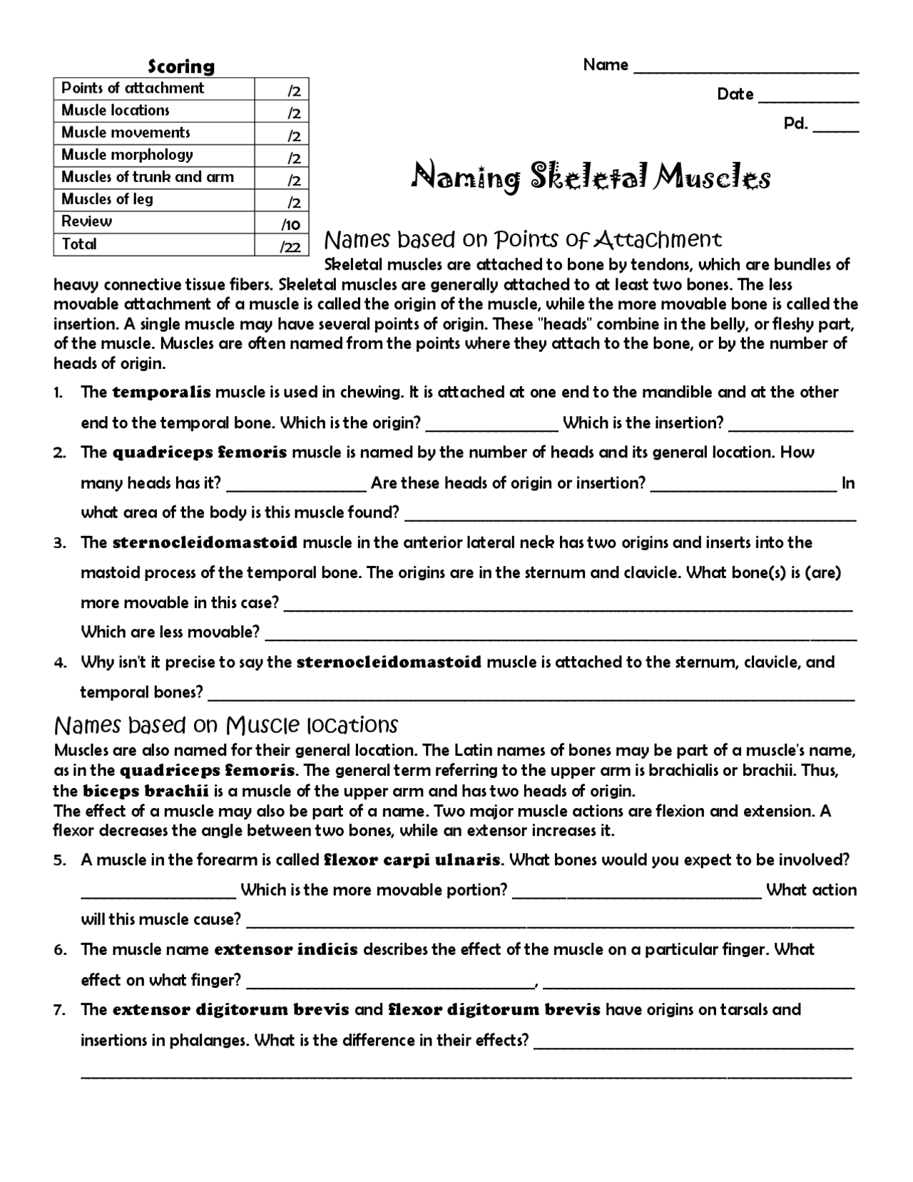 Naming Skeletal Muscles Exams Latin Docsity