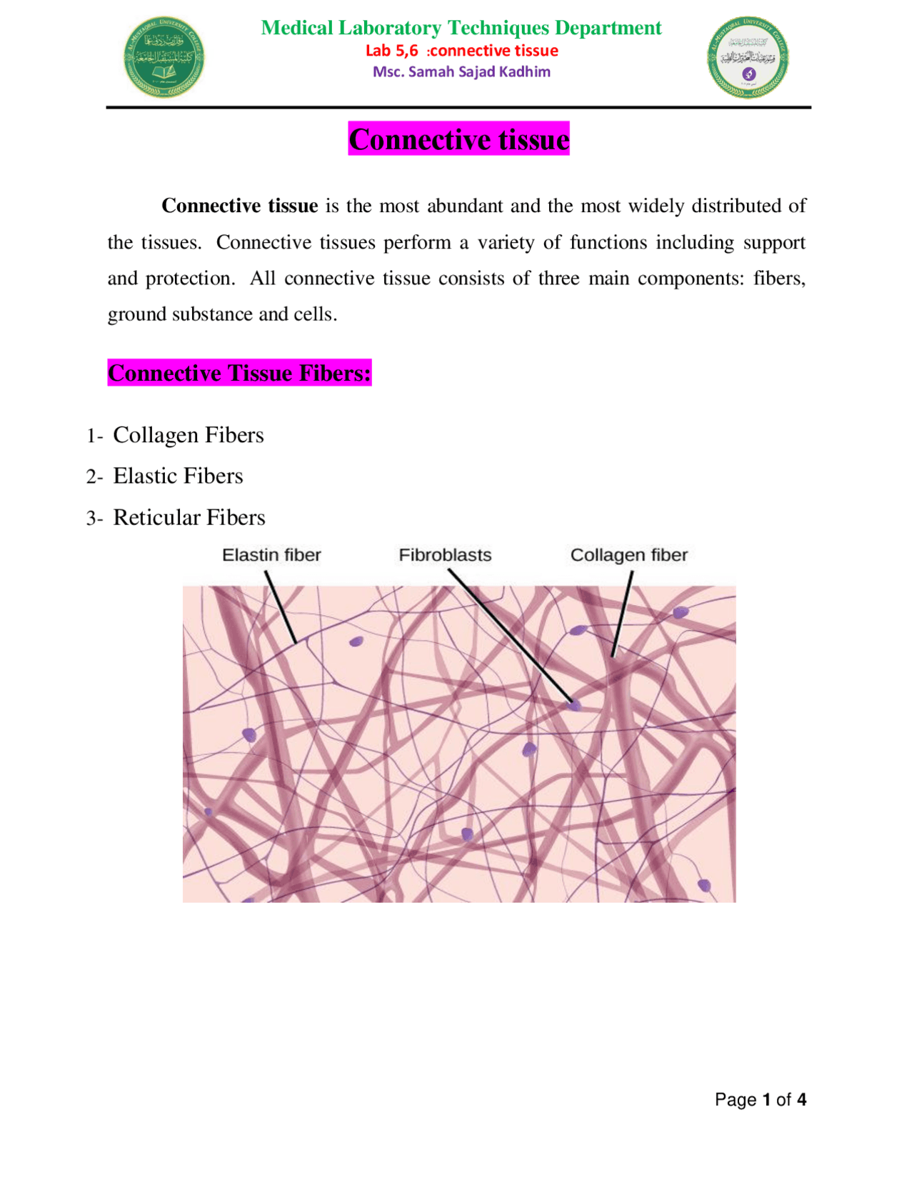 Connective Tissue Exams Communication Docsity