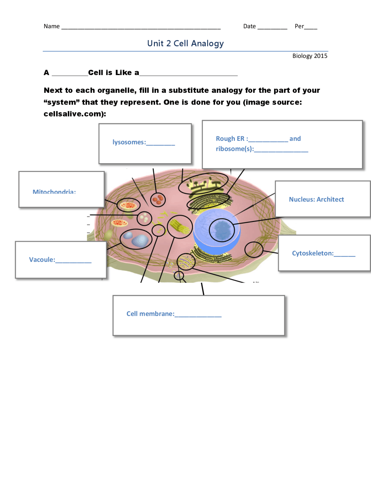 Unit 2 Cell Analogy | Study notes Biology | Docsity