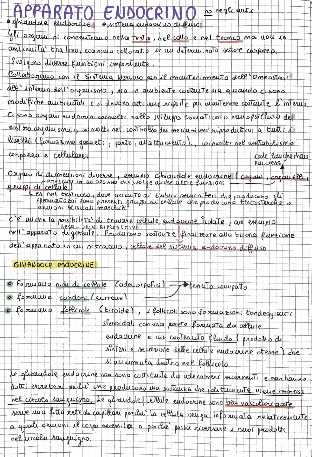 Anatomia Apparato Endocrino Dispense Di Anatomia Docsity
