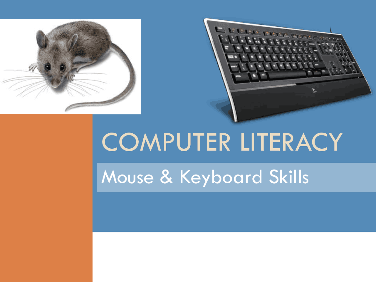 Computer Literacy | Summaries Computer Science | Docsity