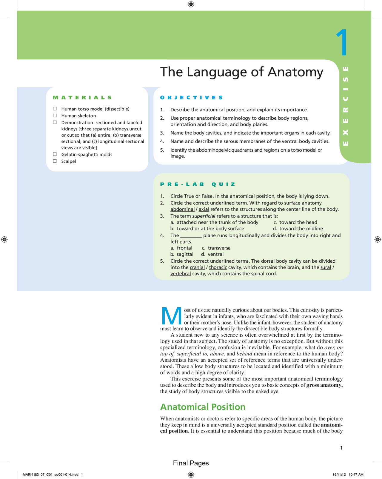 The Language of Anatomy | Exams Anatomy | Docsity