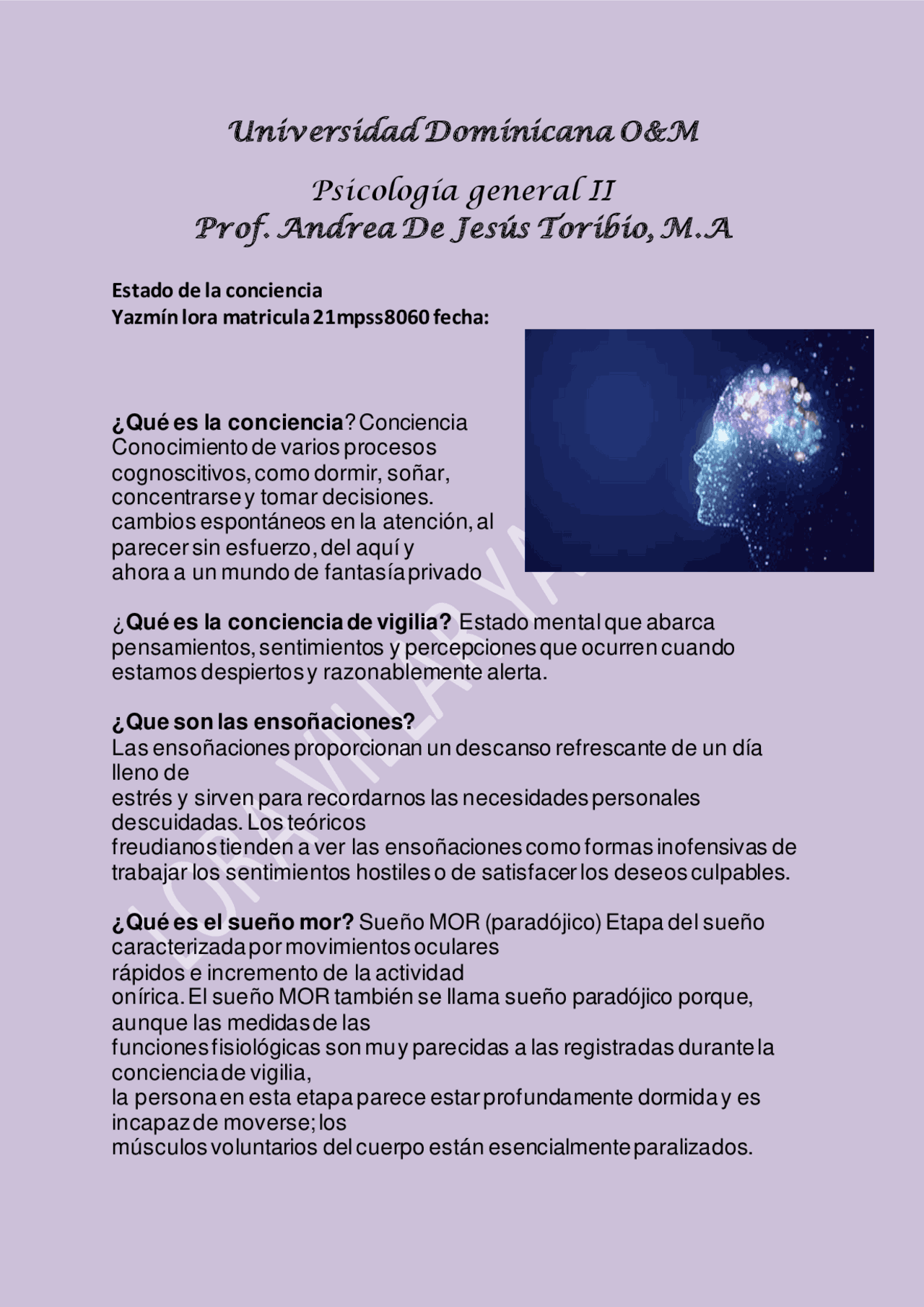 Análisis de la conciencia en el ser humano | Apuntes de Humanidades y ...