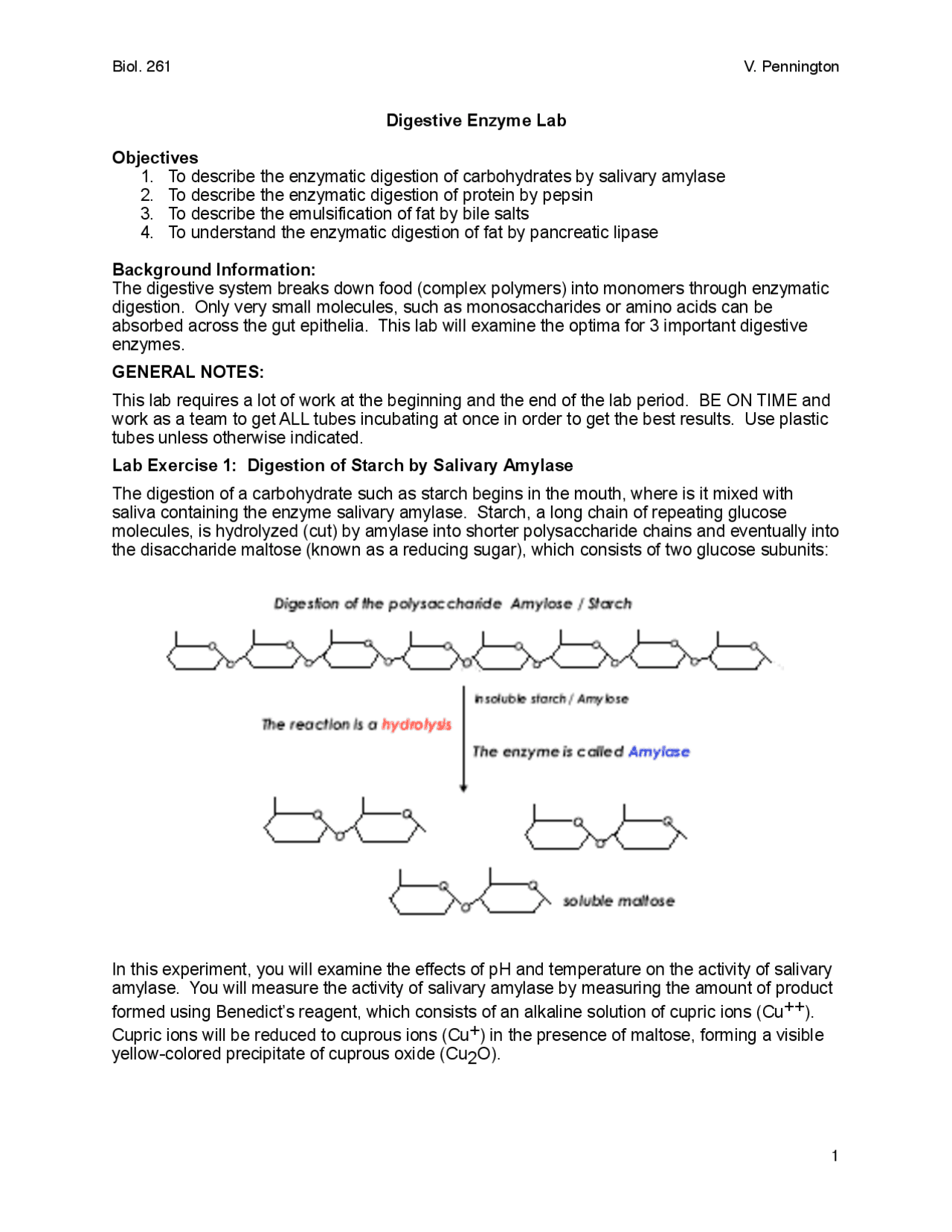 Digestive Enzyme Lab | Study notes Biochemistry | Docsity
