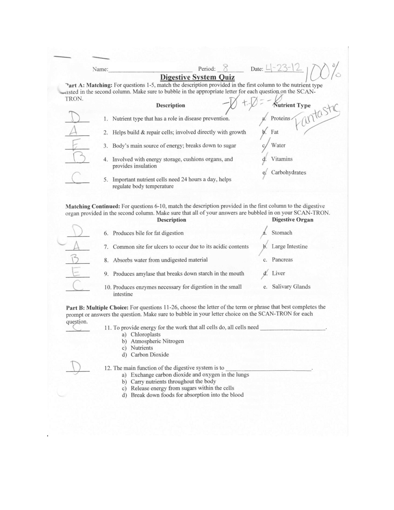 Digestive System Quiz Summaries Human Biology Docsity