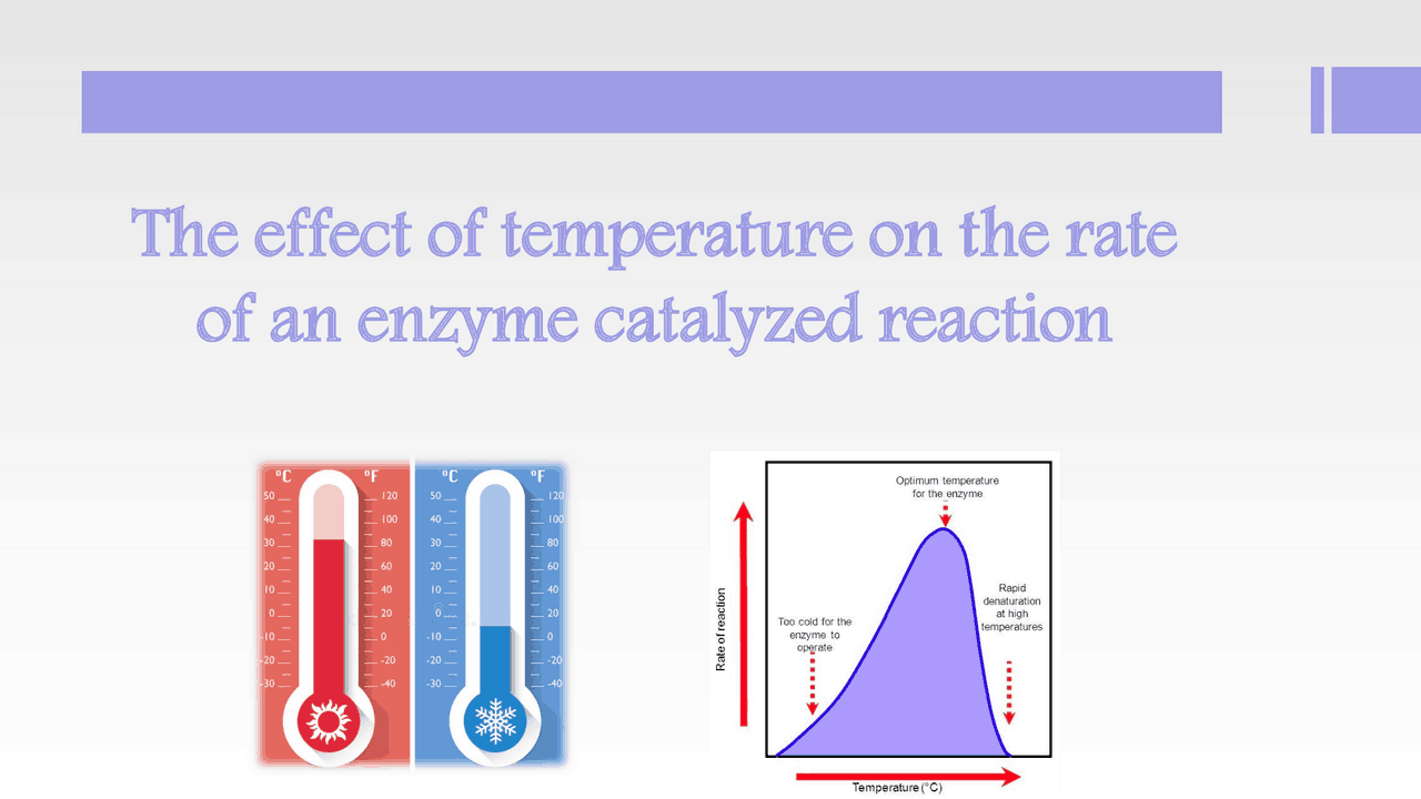 The effect of temperature on the rate of an enzyme catalyzed ...