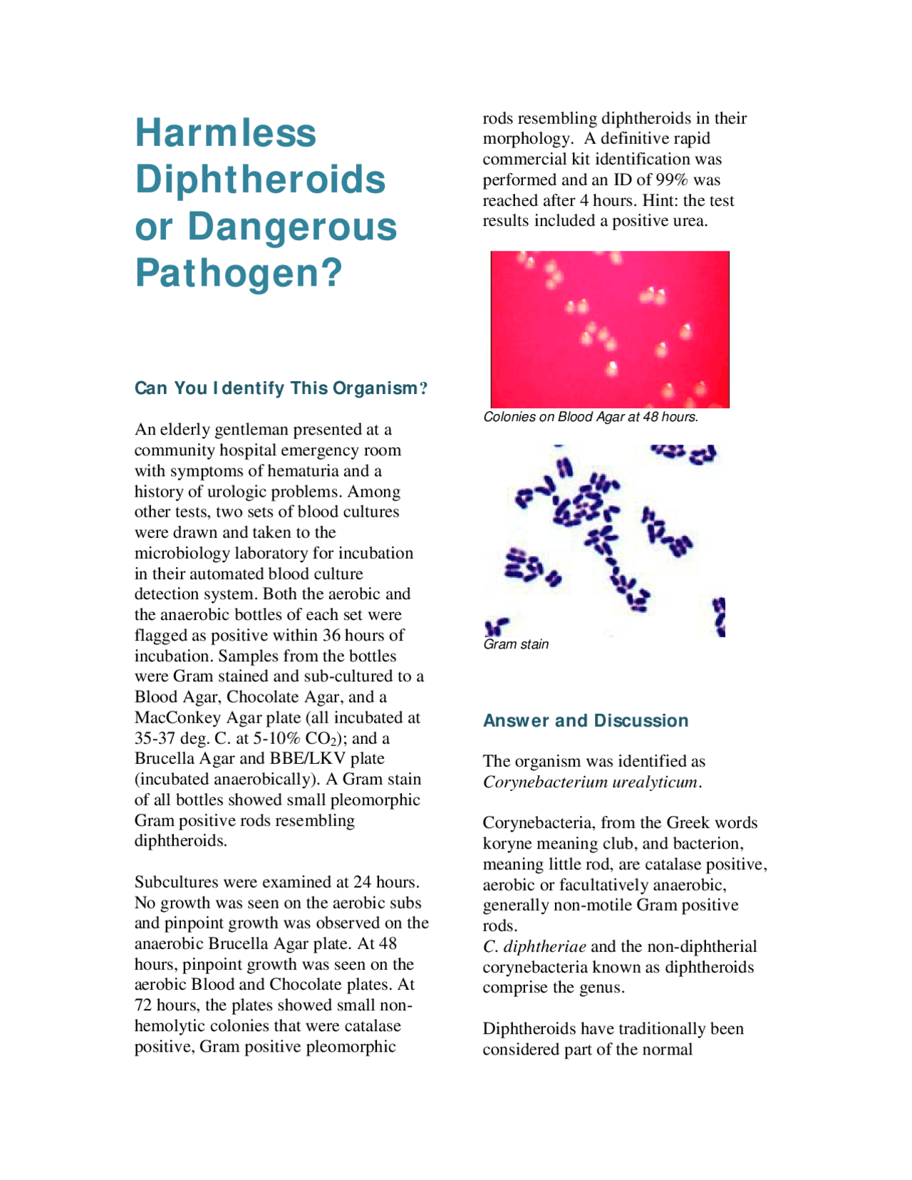 Harmless Diphtheroids or Dangerous Pathogen? | Slides History | Docsity
