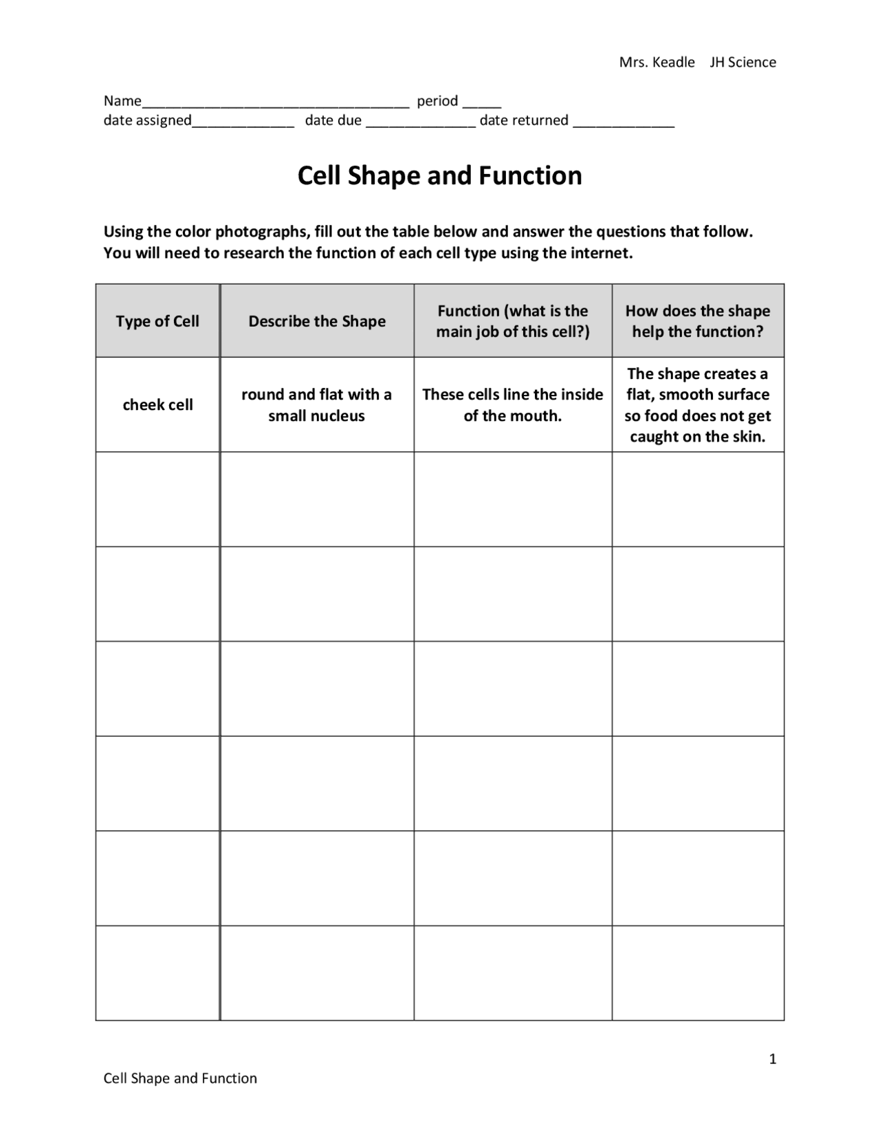 Cell Shape and Function | Exercises Cell Biology | Docsity