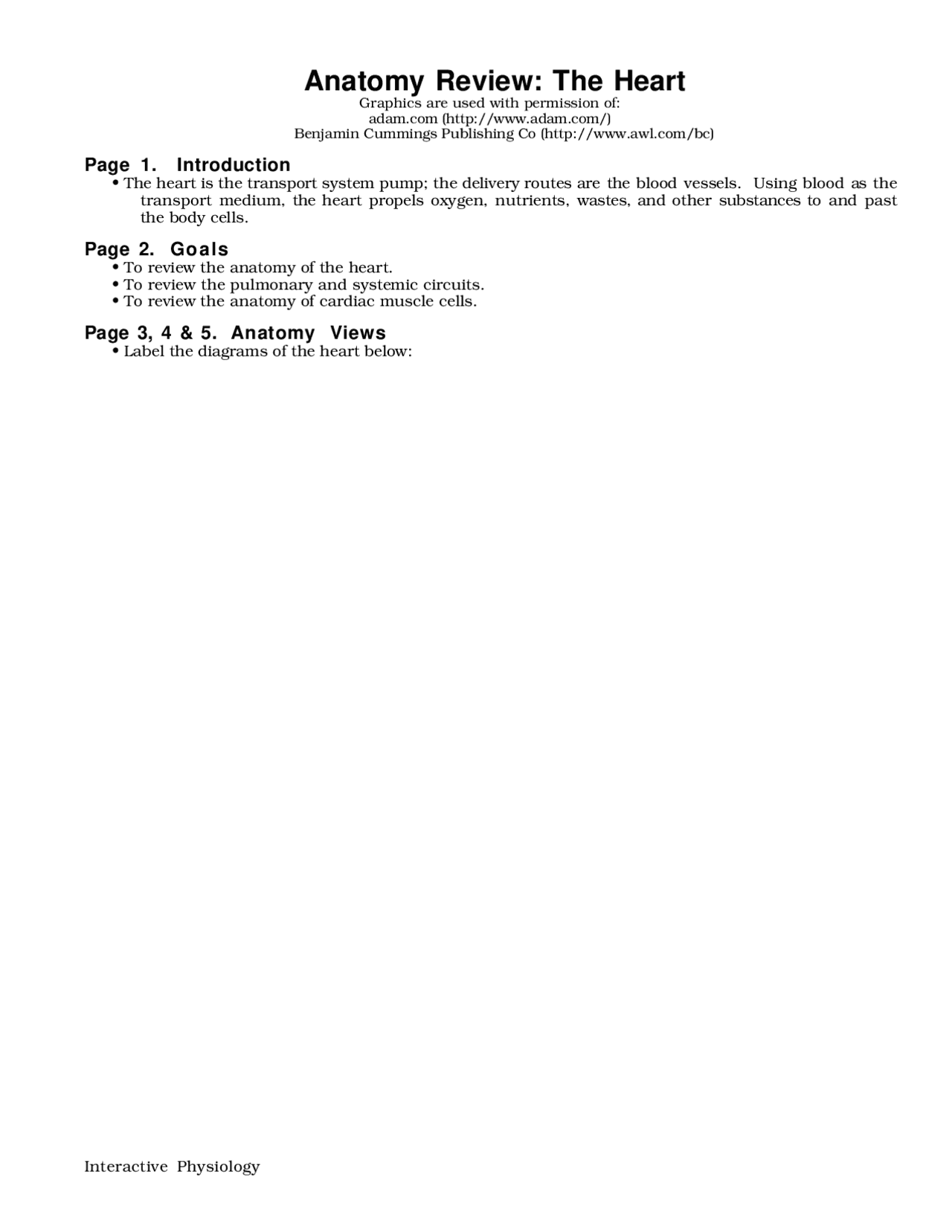 Anatomy Review: The Heart | Slides Anatomy | Docsity