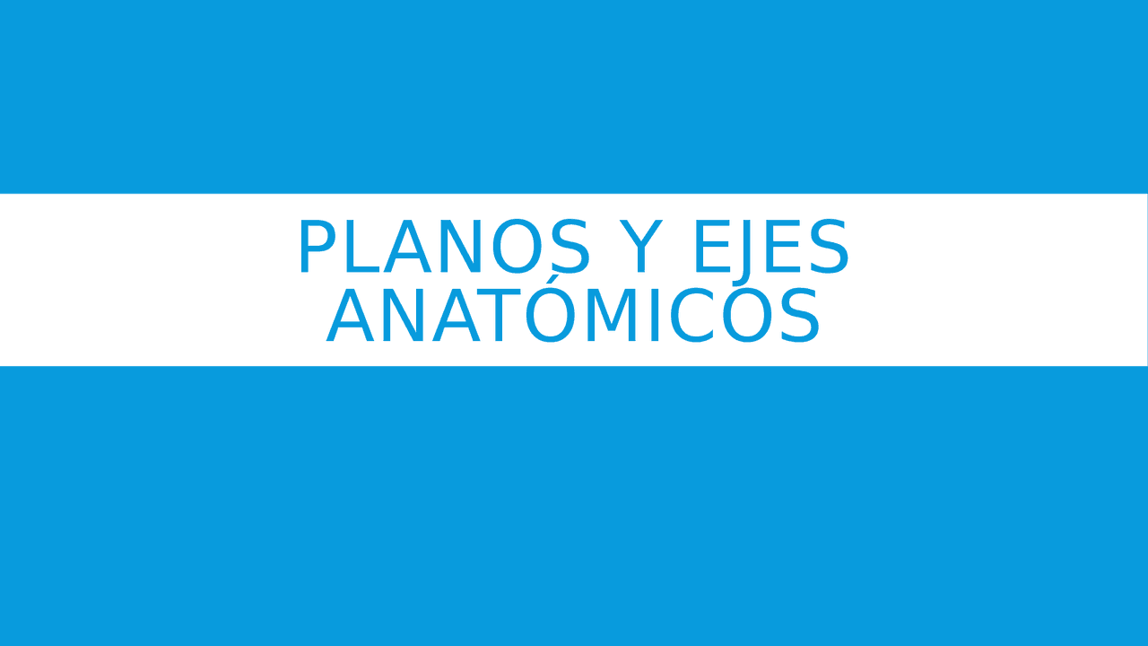 Planos Y Ejes Anatómicos Diapositivas De Anatomía Docsity