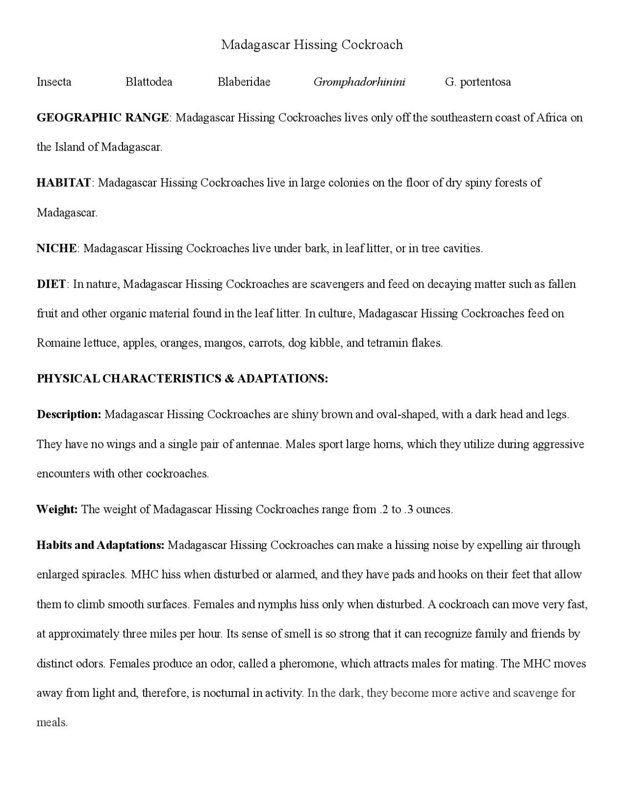 Madagascar Hissing Cockroach | Exercises Animal Biology | Docsity