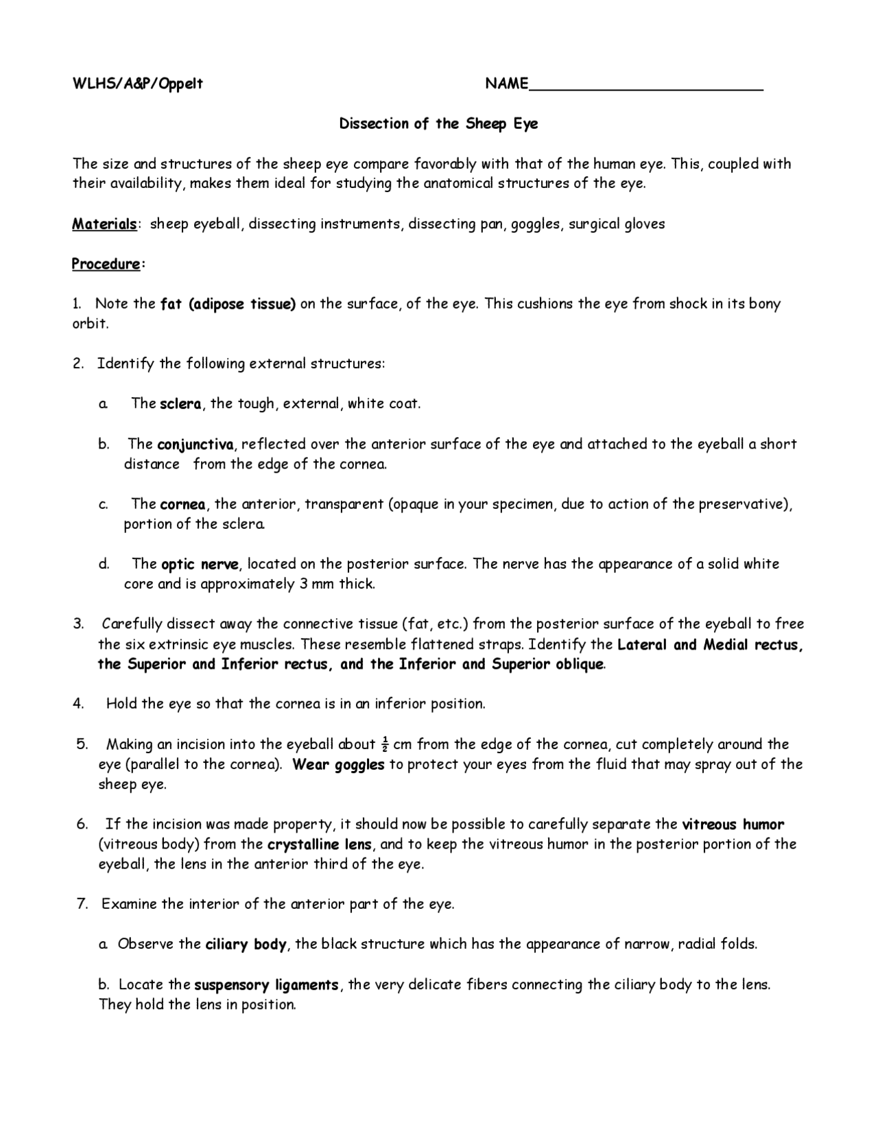 Dissection of the Sheep Eye | Exams Biology | Docsity