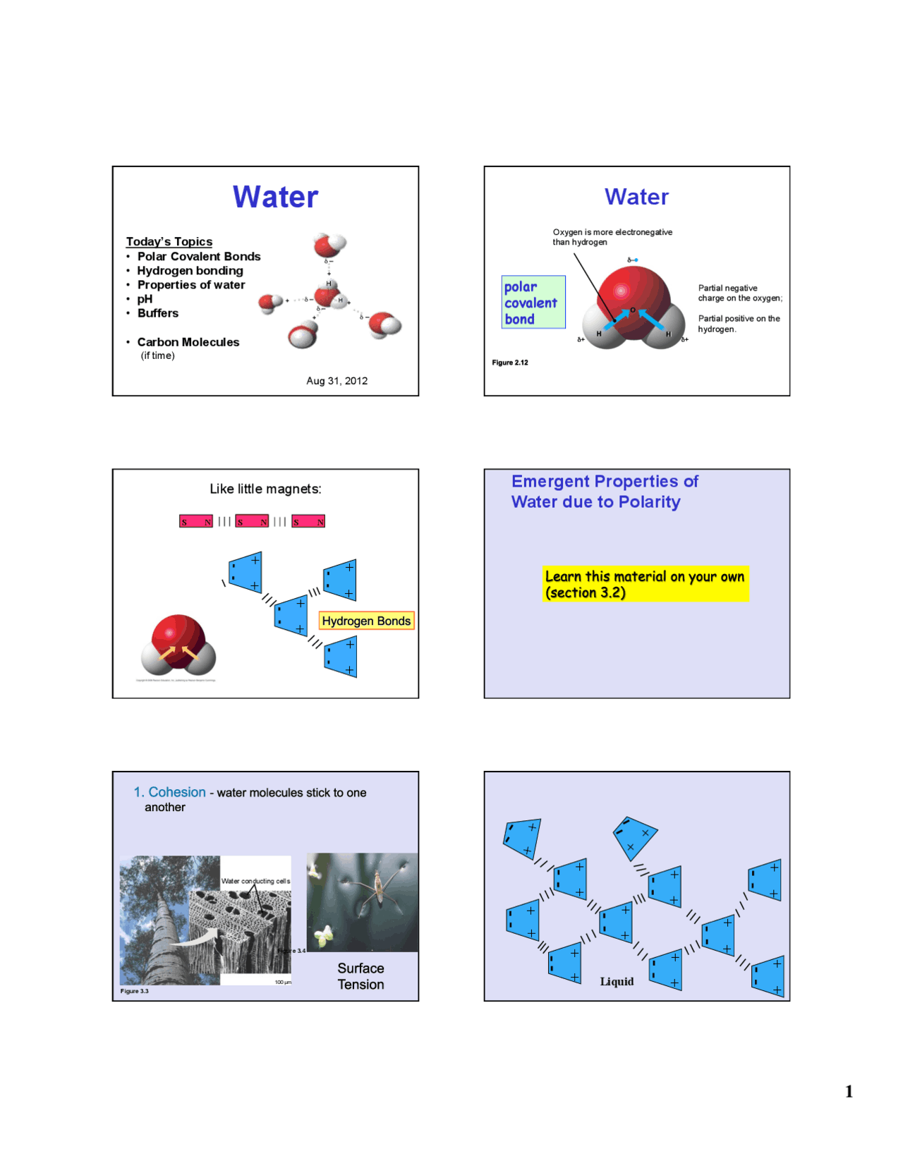 Emergent Properties of Water due to Polarity | Lecture notes Chemistry ...