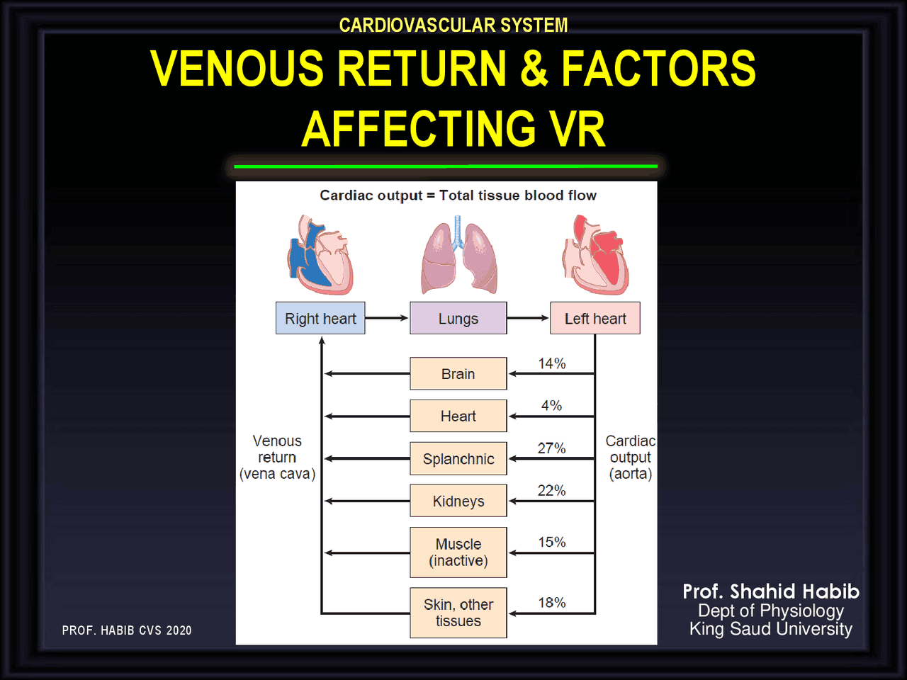 VENOUS RETURN & FACTORS AFFECTING VR | Exercises Physiology | Docsity