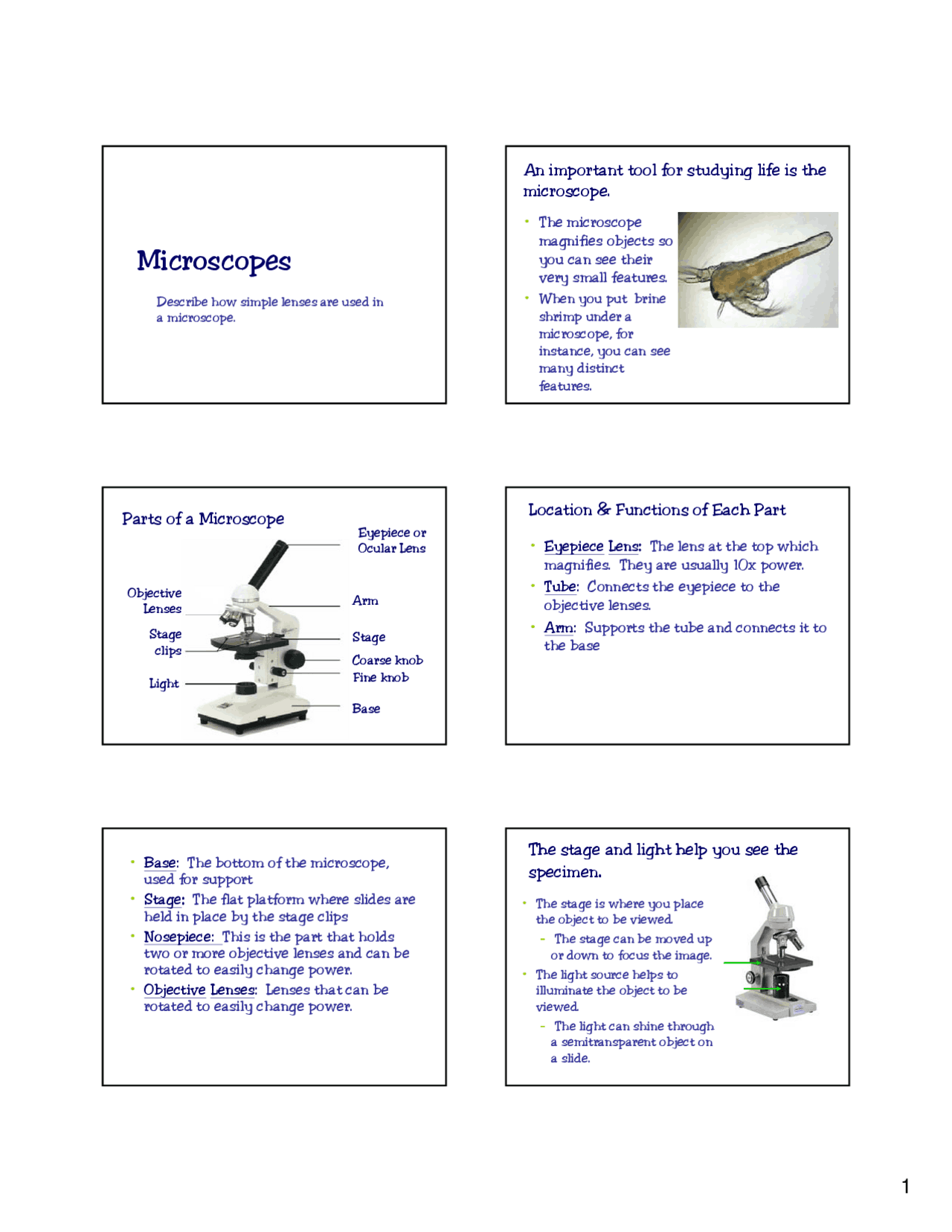 Microscopes.pdf | Exercises Microbiology | Docsity