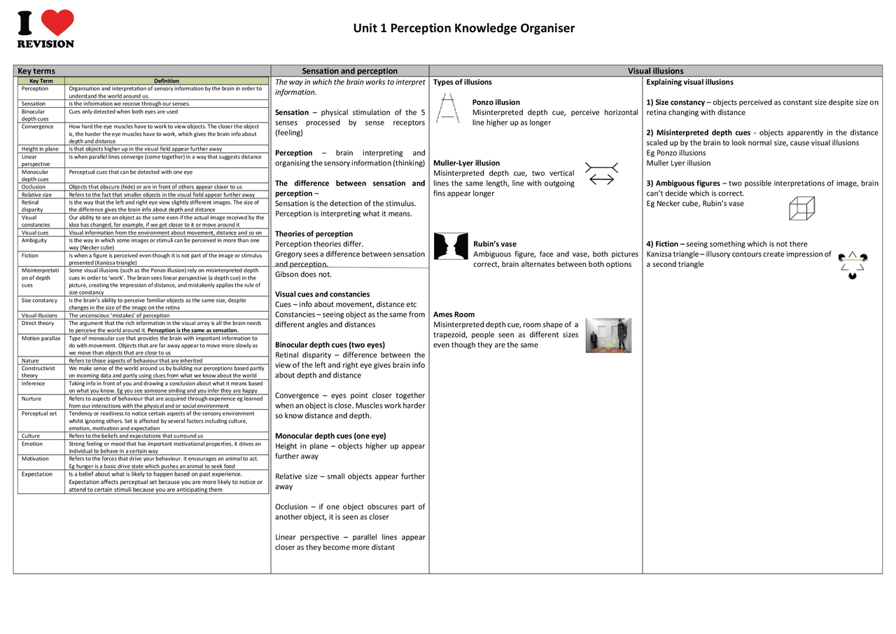 Unit 1 Perception Knowledge Organiser Schemes And Mind Maps