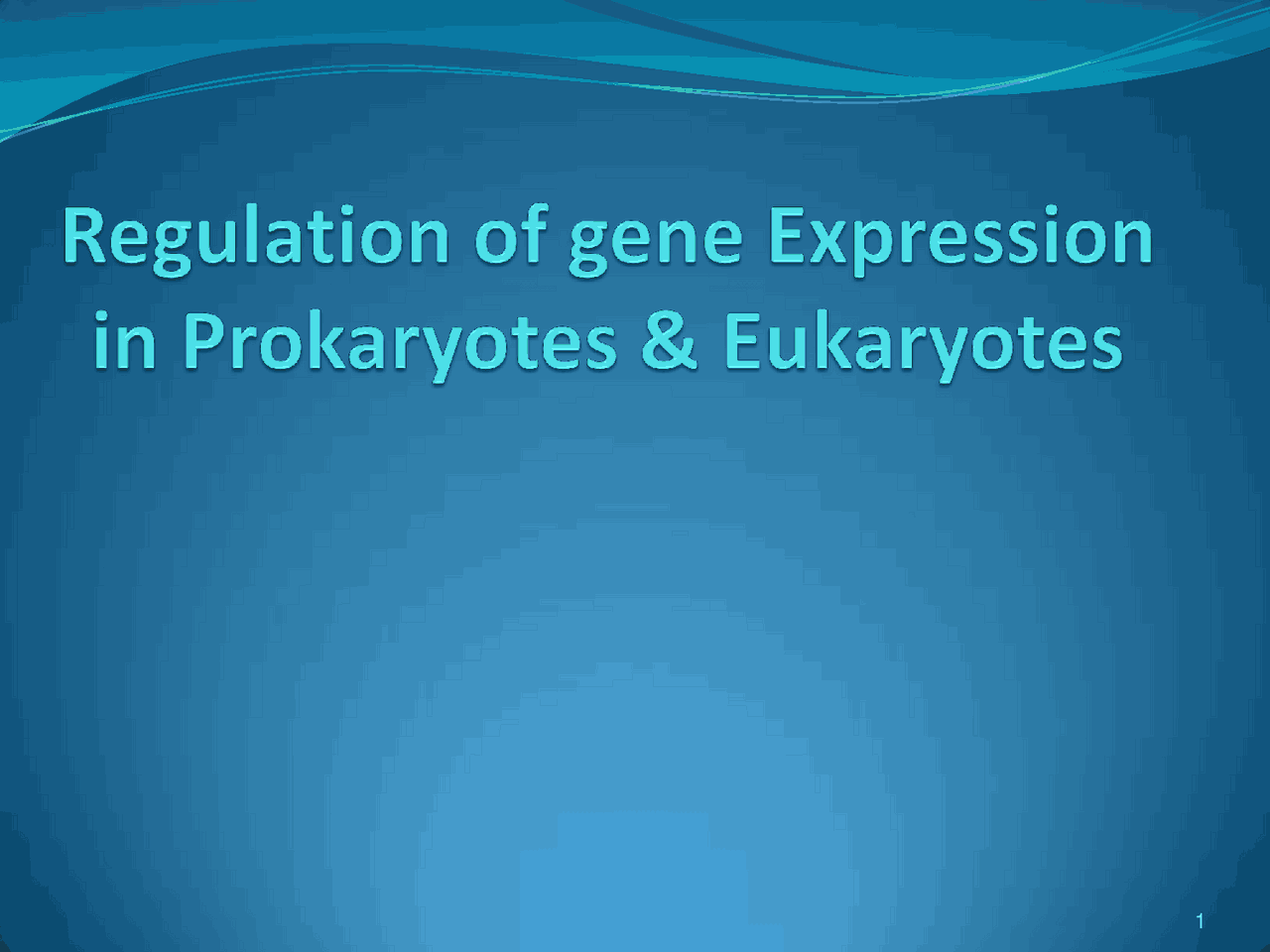 Regulation of gene Expression in eukaryotes | Exams Genetics | Docsity