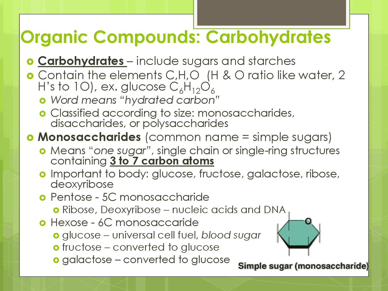 Organic Compounds: Carbohydrates | Summaries Chemistry | Docsity