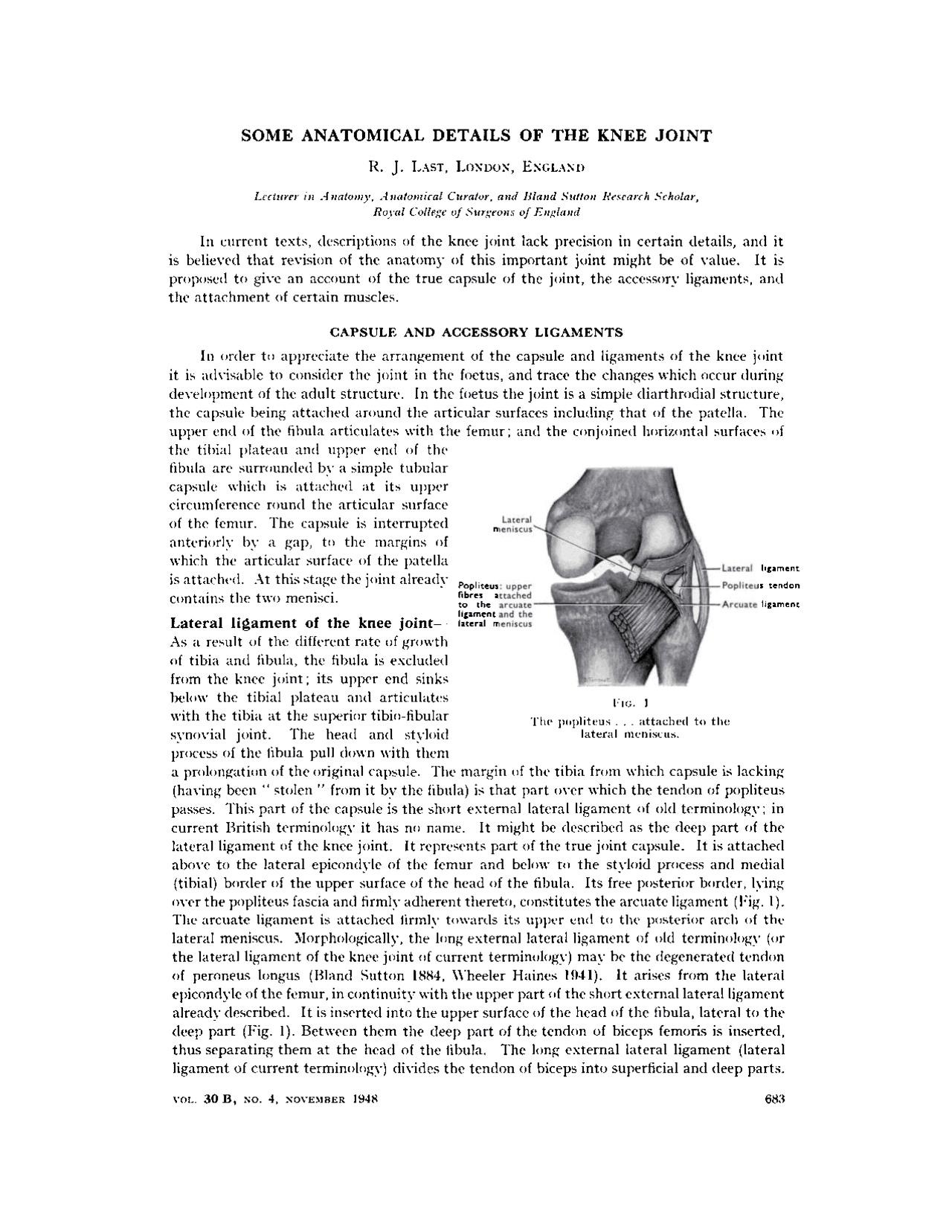 SOME ANATOMICAL DETAILS OF THE KNEE JOINT | Exercises Anatomy | Docsity