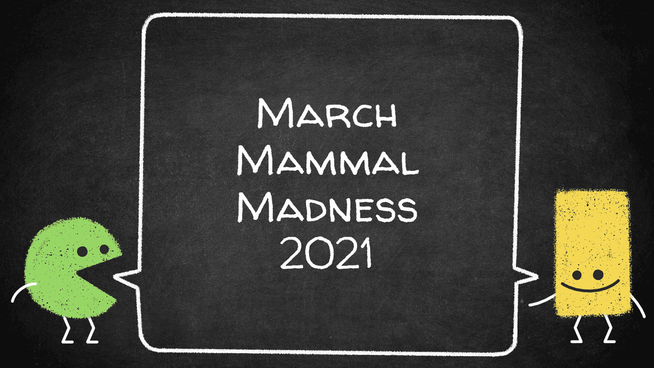 March Mammal Madness 2021 | Schemes and Mind Maps Animal husbandry ...