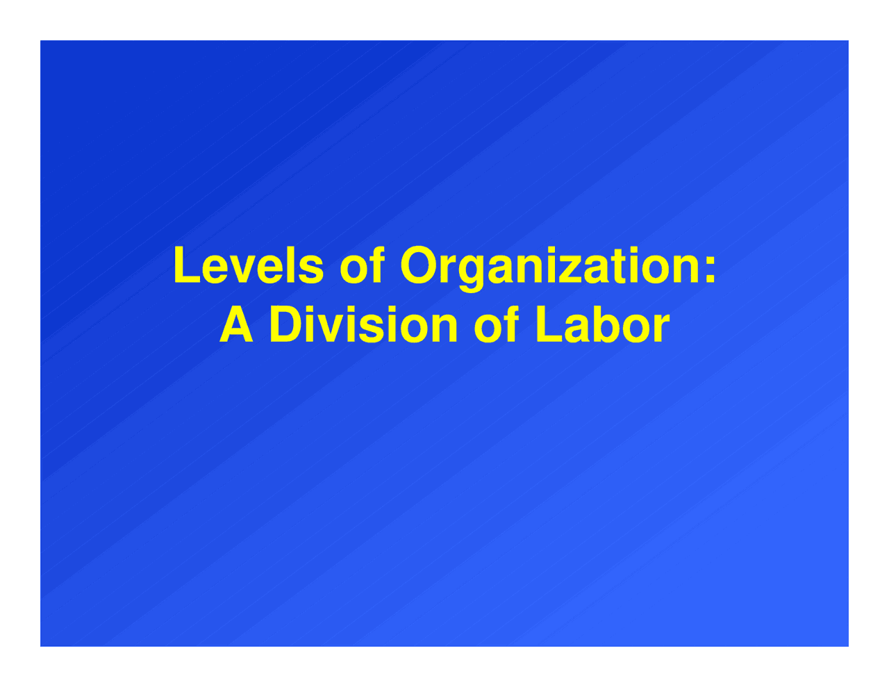 Levels Of Organization A Division Of Labor Summaries Chemistry Docsity