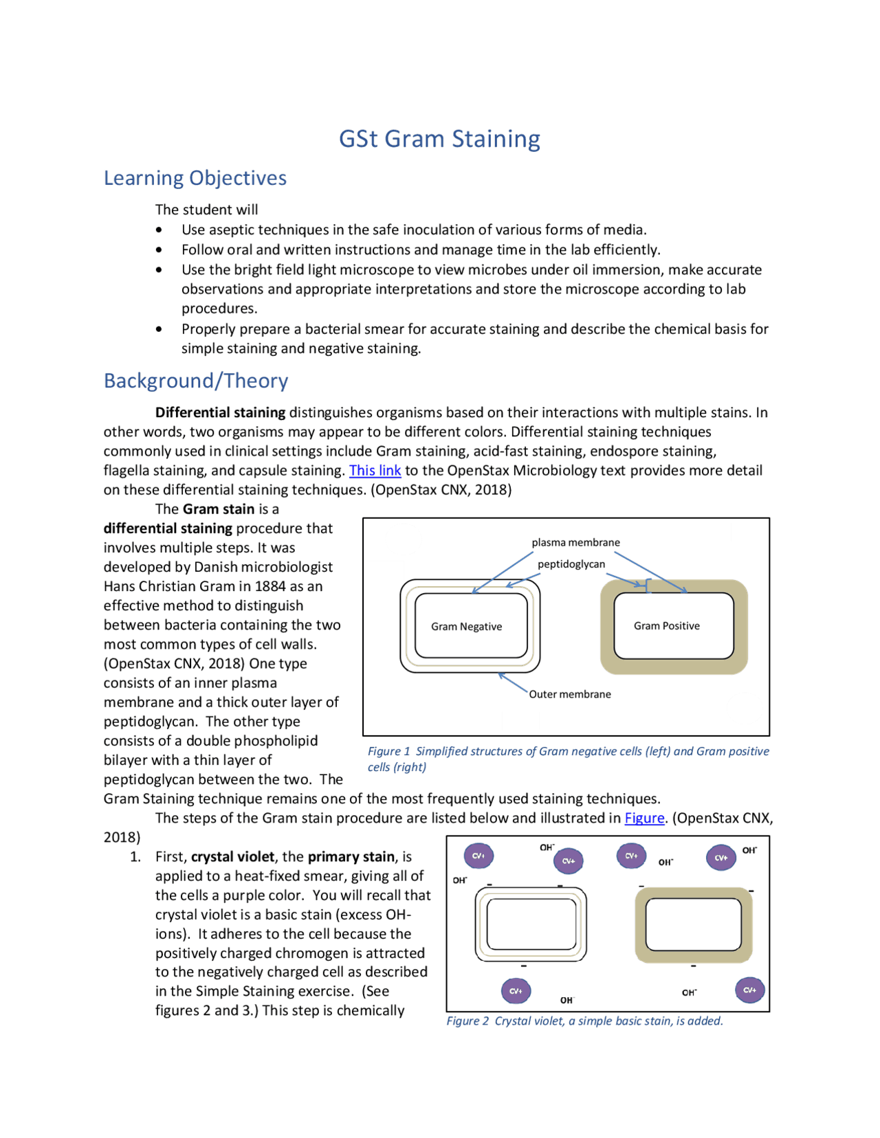 GSt Gram Staining | Schemes and Mind Maps Microbiology | Docsity