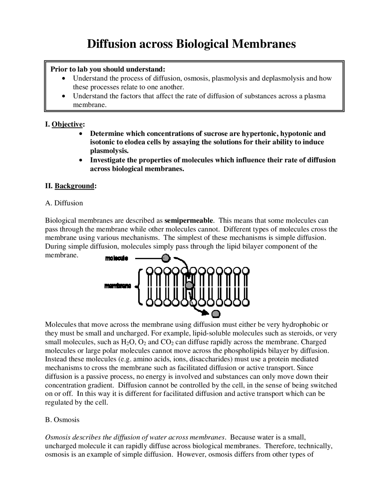 Diffusion Across Biological Membranes Schemes And Mind Maps Cell