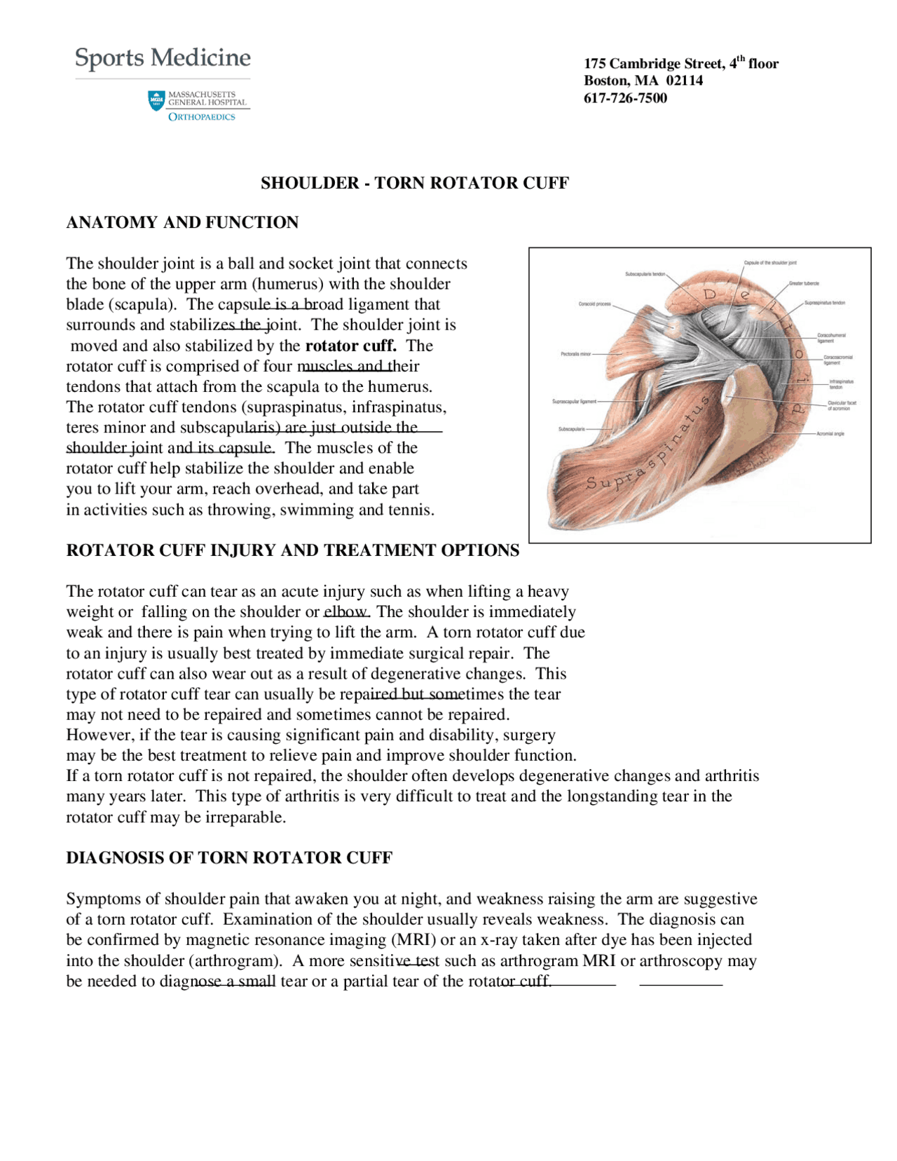 Shoulder - torn rotator cuff | Slides Medicine | Docsity
