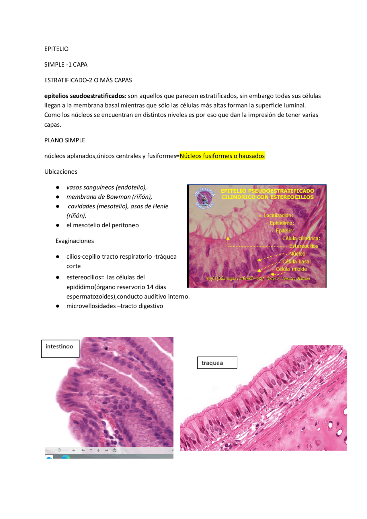 Este Es Un Documento De Micro Practica De Primer Ciclo El Cual Me Fue