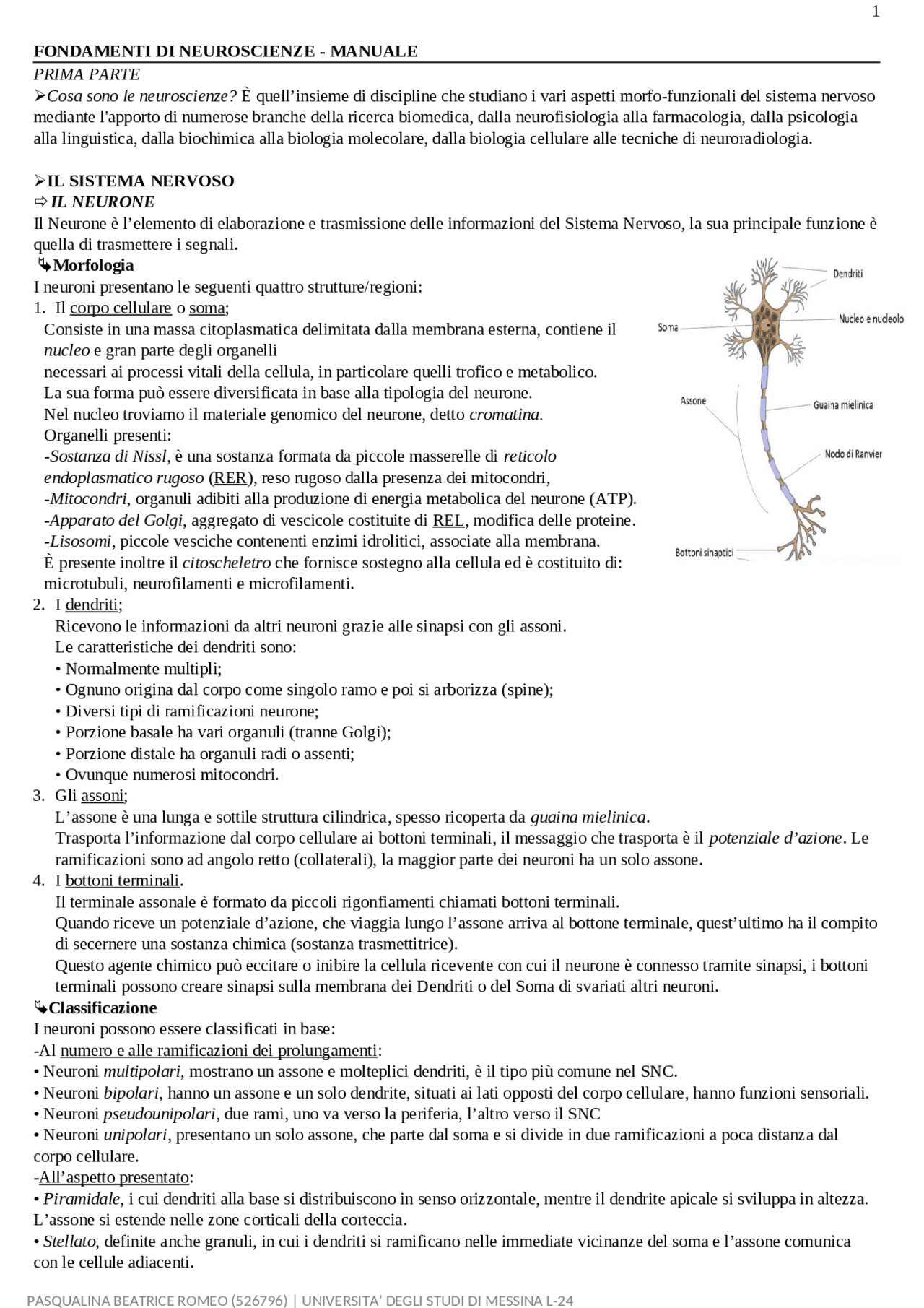 Riassunto Manuale Di Neuroscienze Appunti Di Neuroscienze Docsity