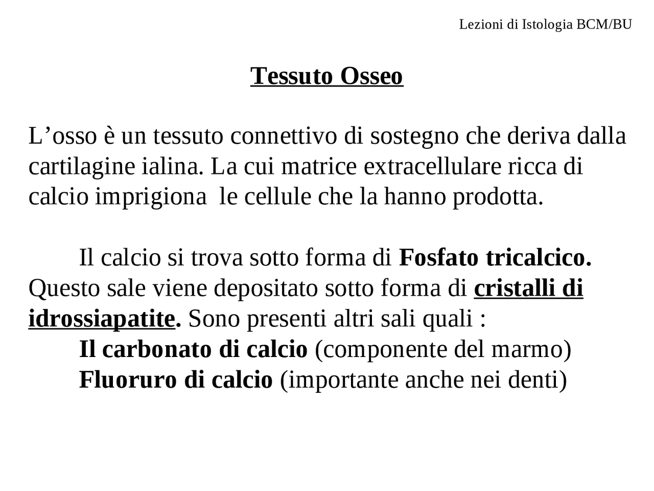 Tessuto Osseo E Le Sue Caratteristiche Schemi E Mappe Concettuali Di