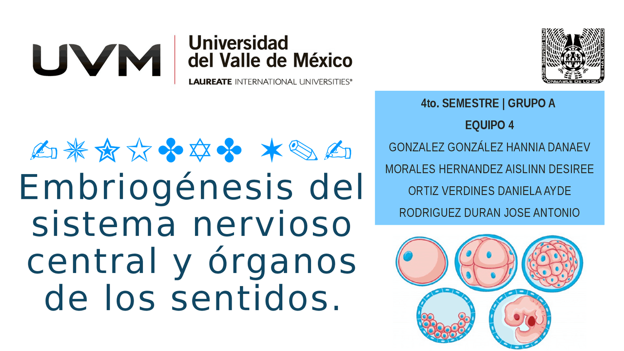 Linea Primitiva desarrollo sistema nervioso | Esquemas y mapas ...