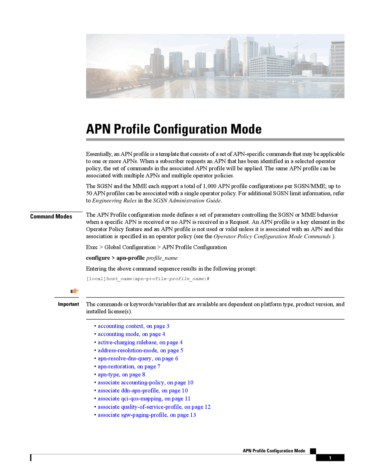 APN Profile Configuration Mode | Slides Accounting | Docsity