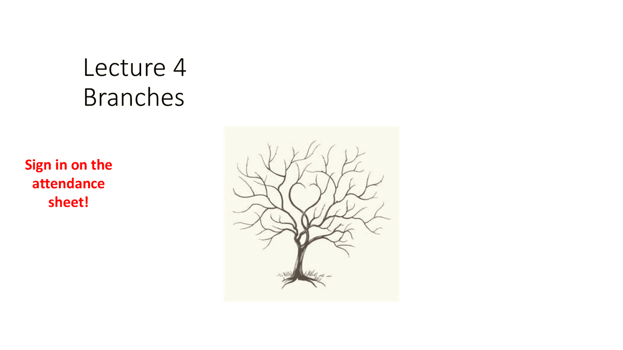 Lecture 4 Branches | Exercises Data Structures and Algorithms | Docsity